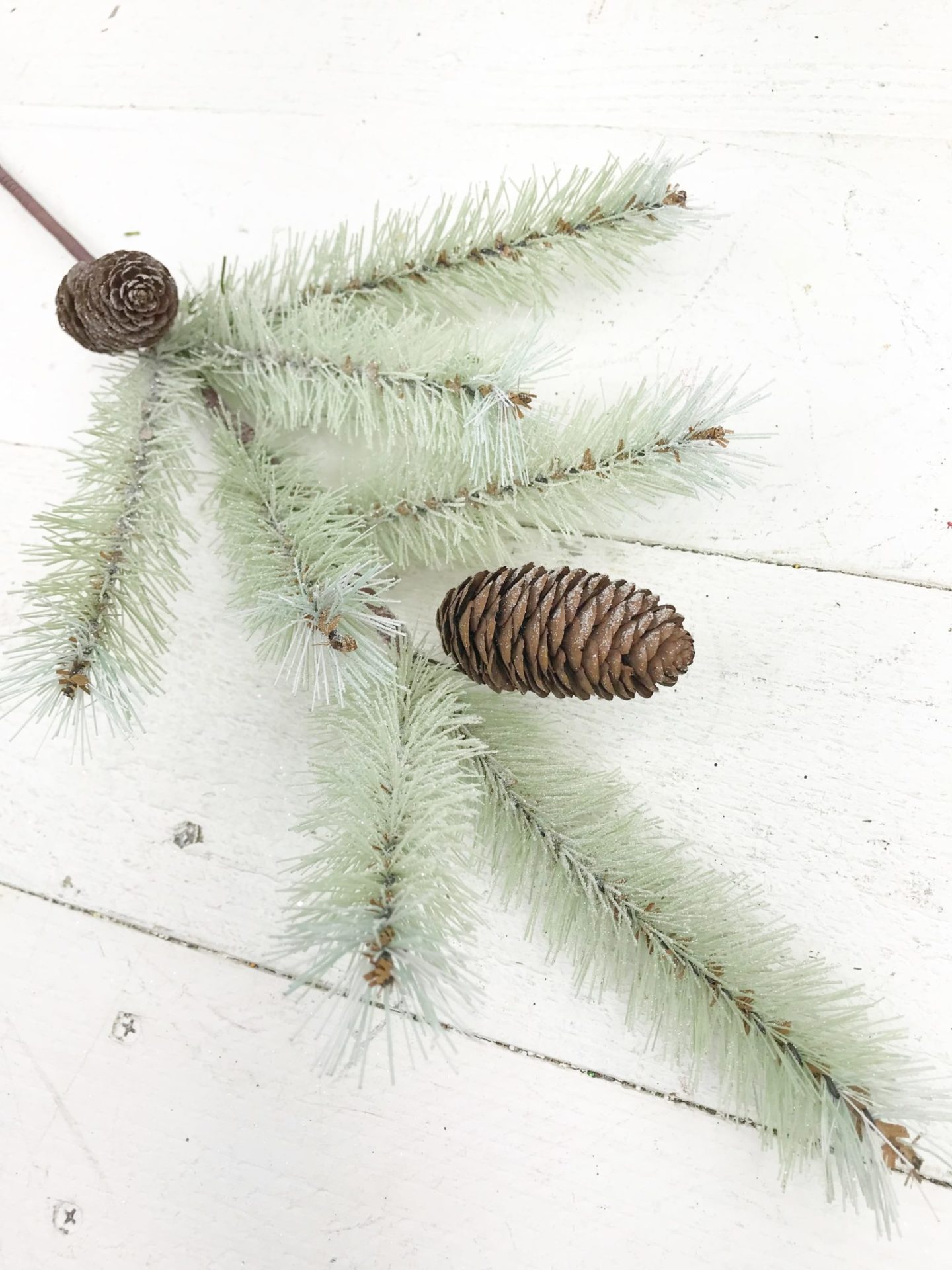 Anchorage Christmas Pine Stem - Kelea's Florals