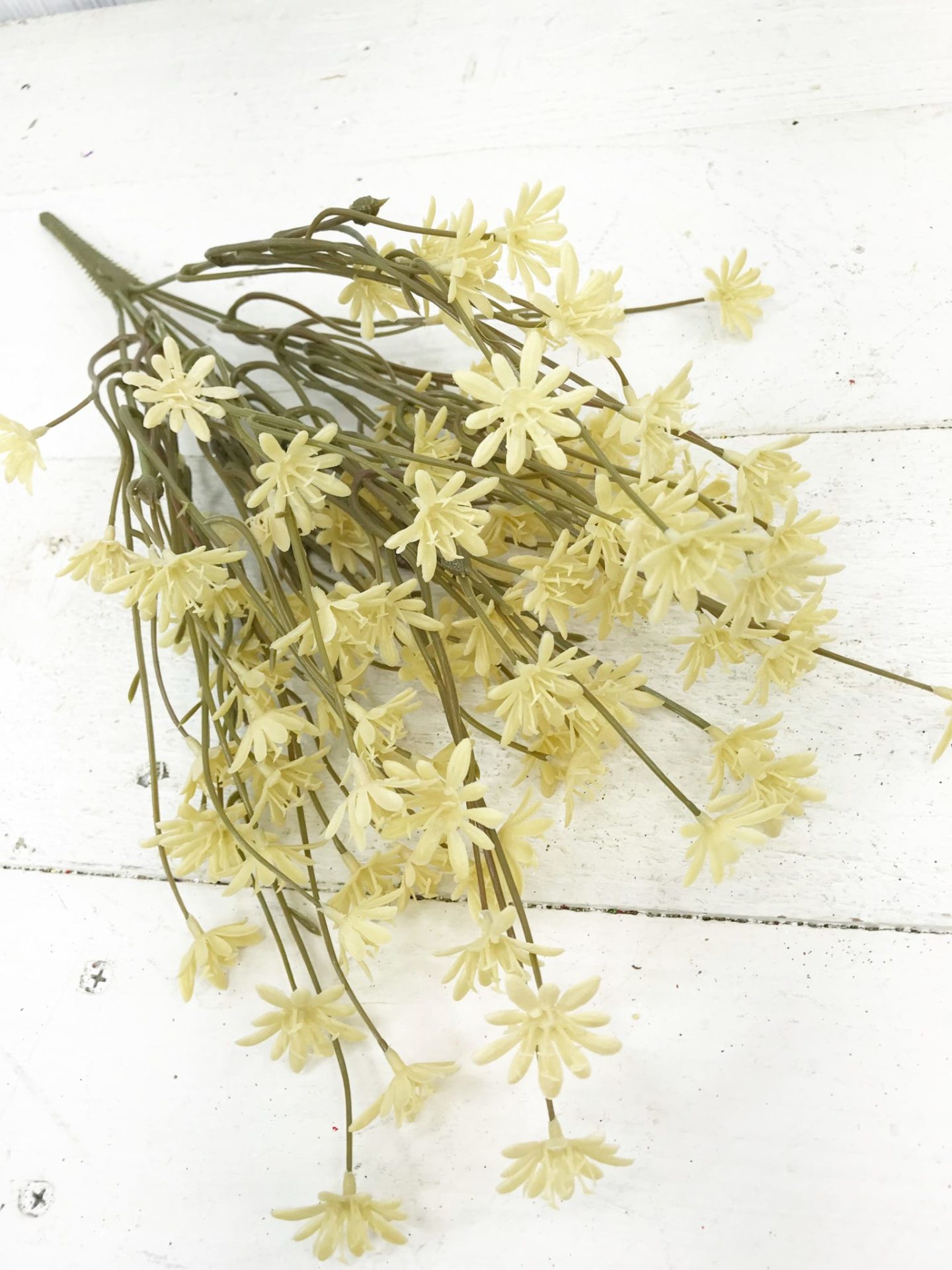 Cream Bursting Bold Blooms Bush - Kelea's Florals