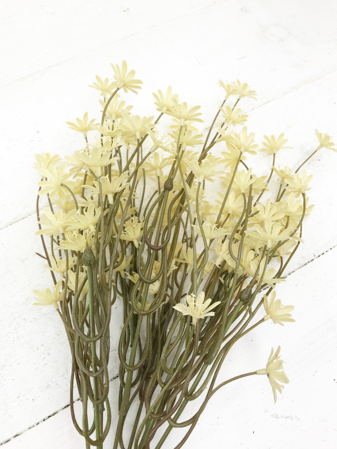 Cream Bursting Bold Blooms Bush - Kelea's Florals