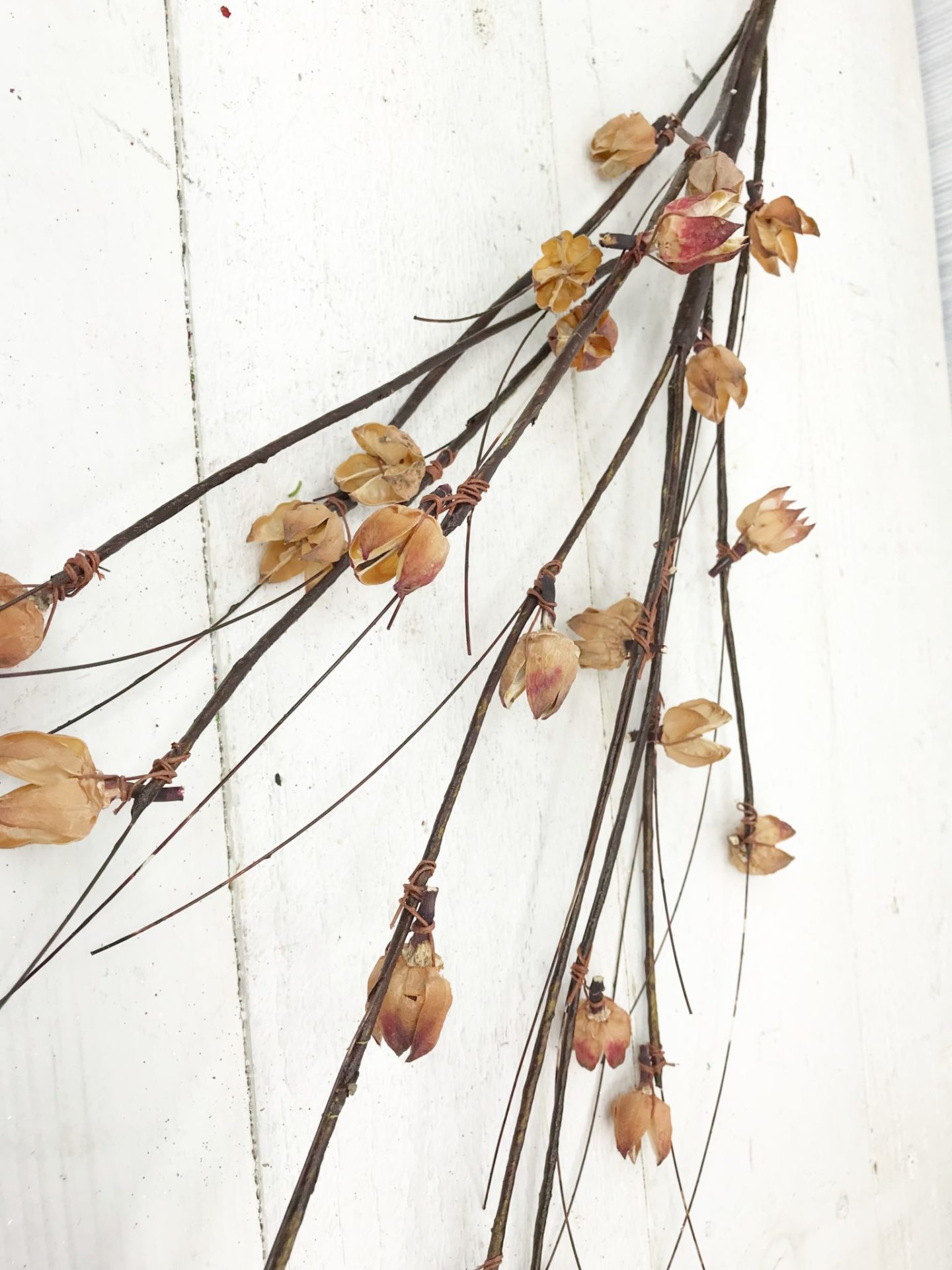 Fall Boll Pod Stem - Kelea's Florals