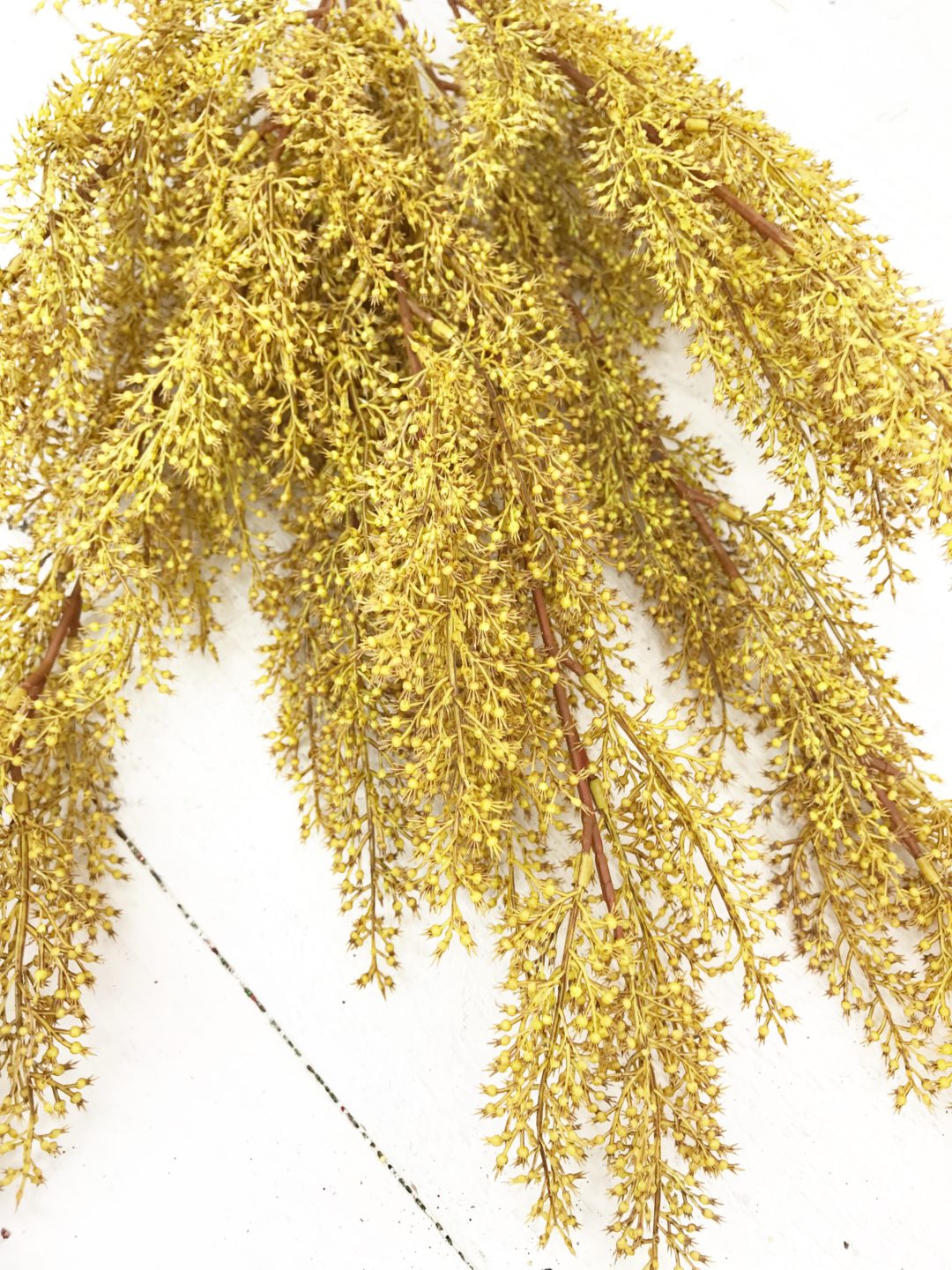 Mustard Wheat Bush - Kelea's Florals