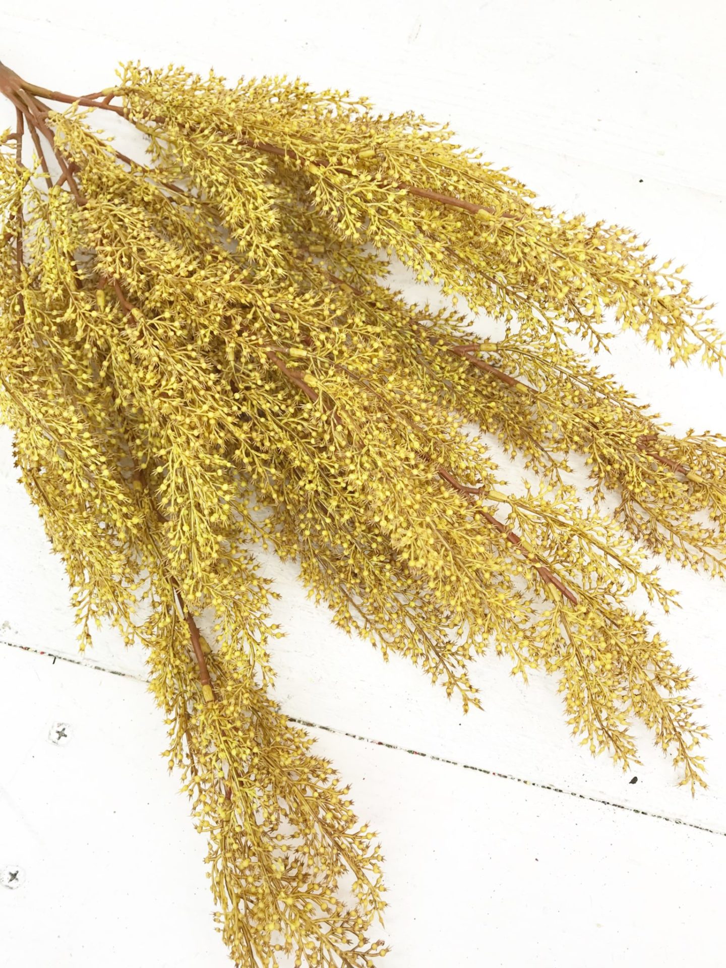 Mustard Wheat Bush - Kelea's Florals