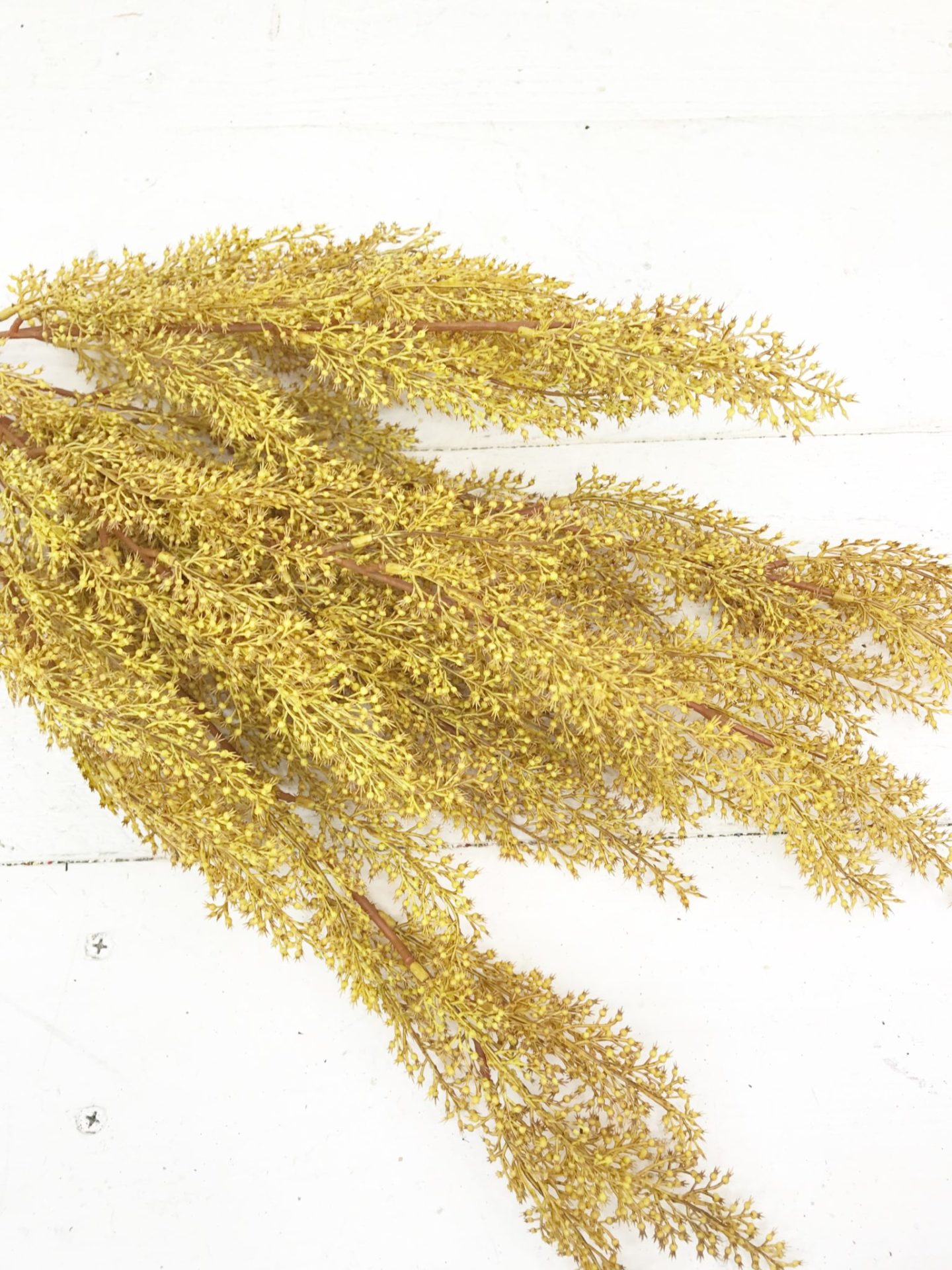 Mustard Wheat Bush - Kelea's Florals