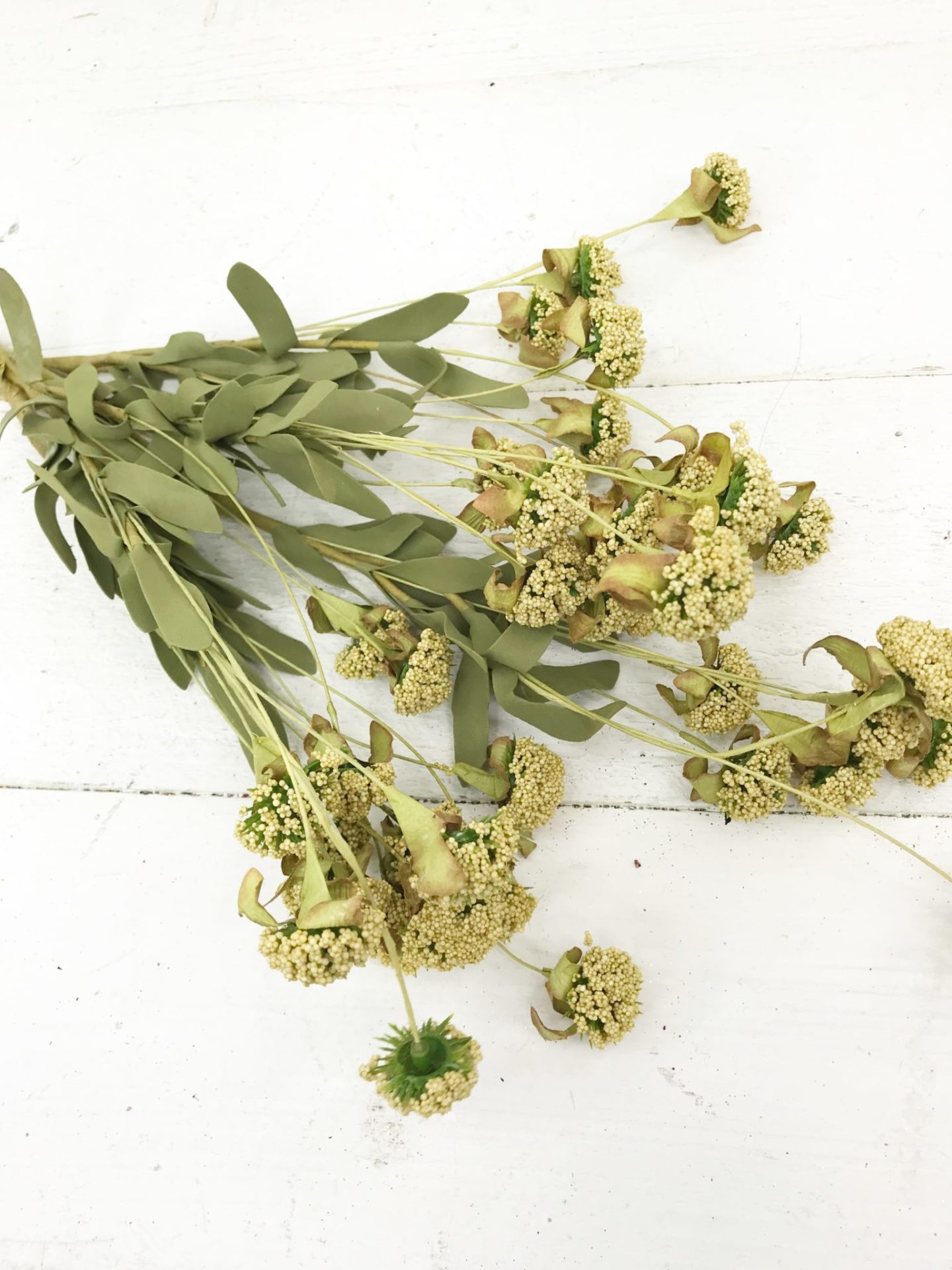 Beige Thistle Stem - Kelea's Florals