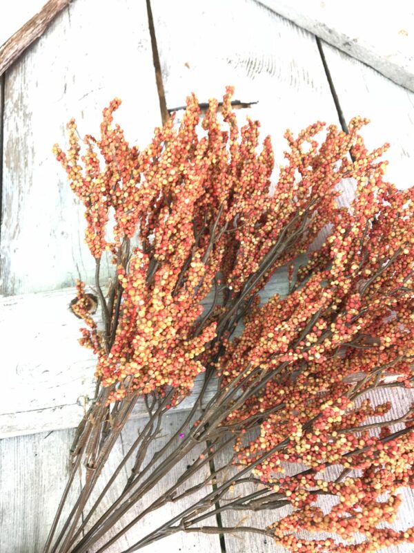 Fall Rust Berry Bush - Kelea's Florals