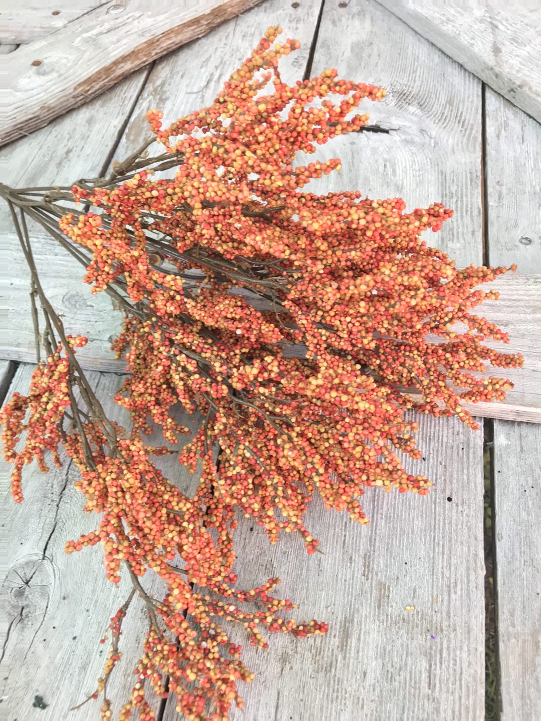 Fall Rust Berry Bush - Kelea's Florals
