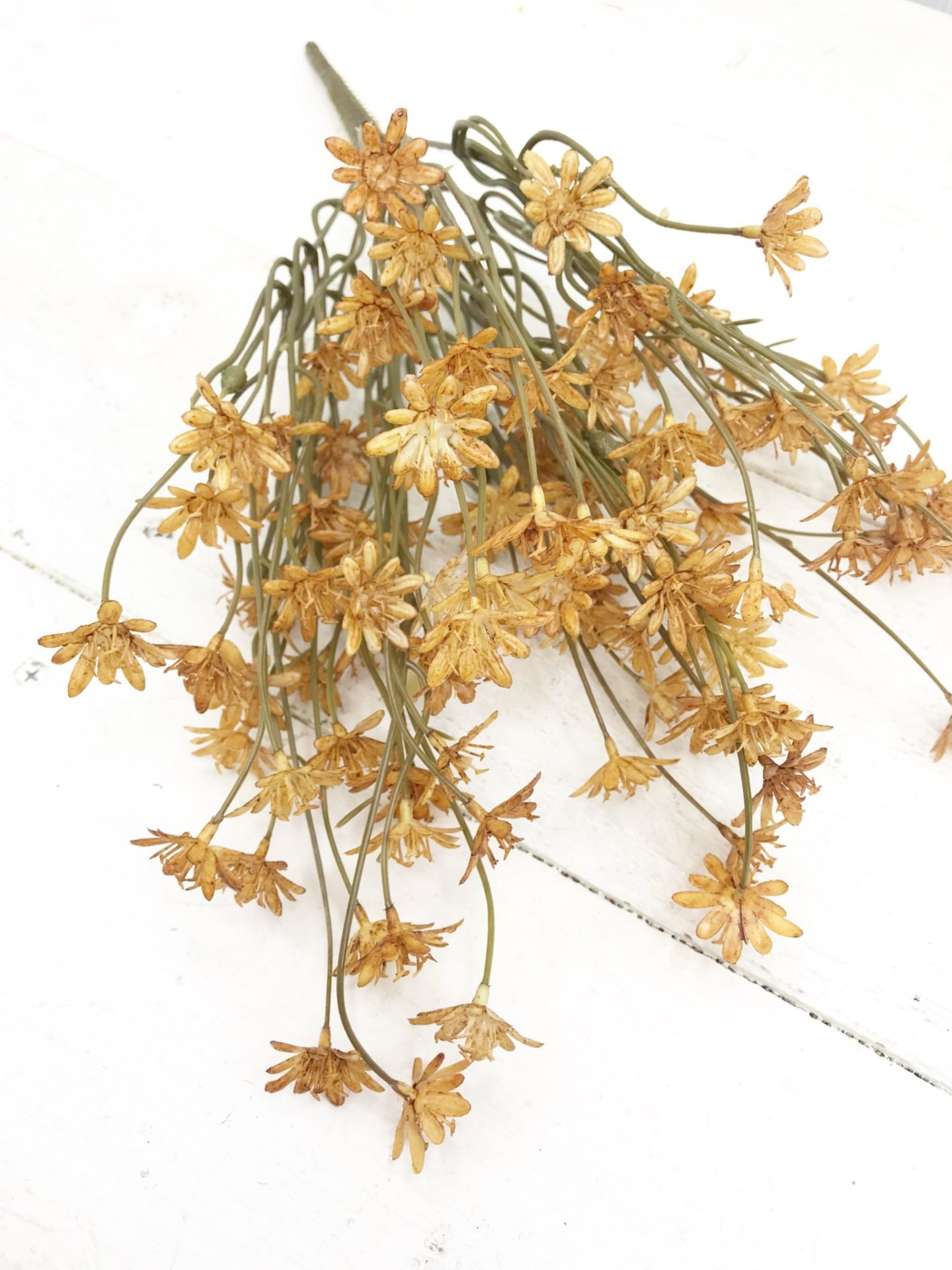 Mustard Yellow Fall Bloom Bush - Kelea's Florals