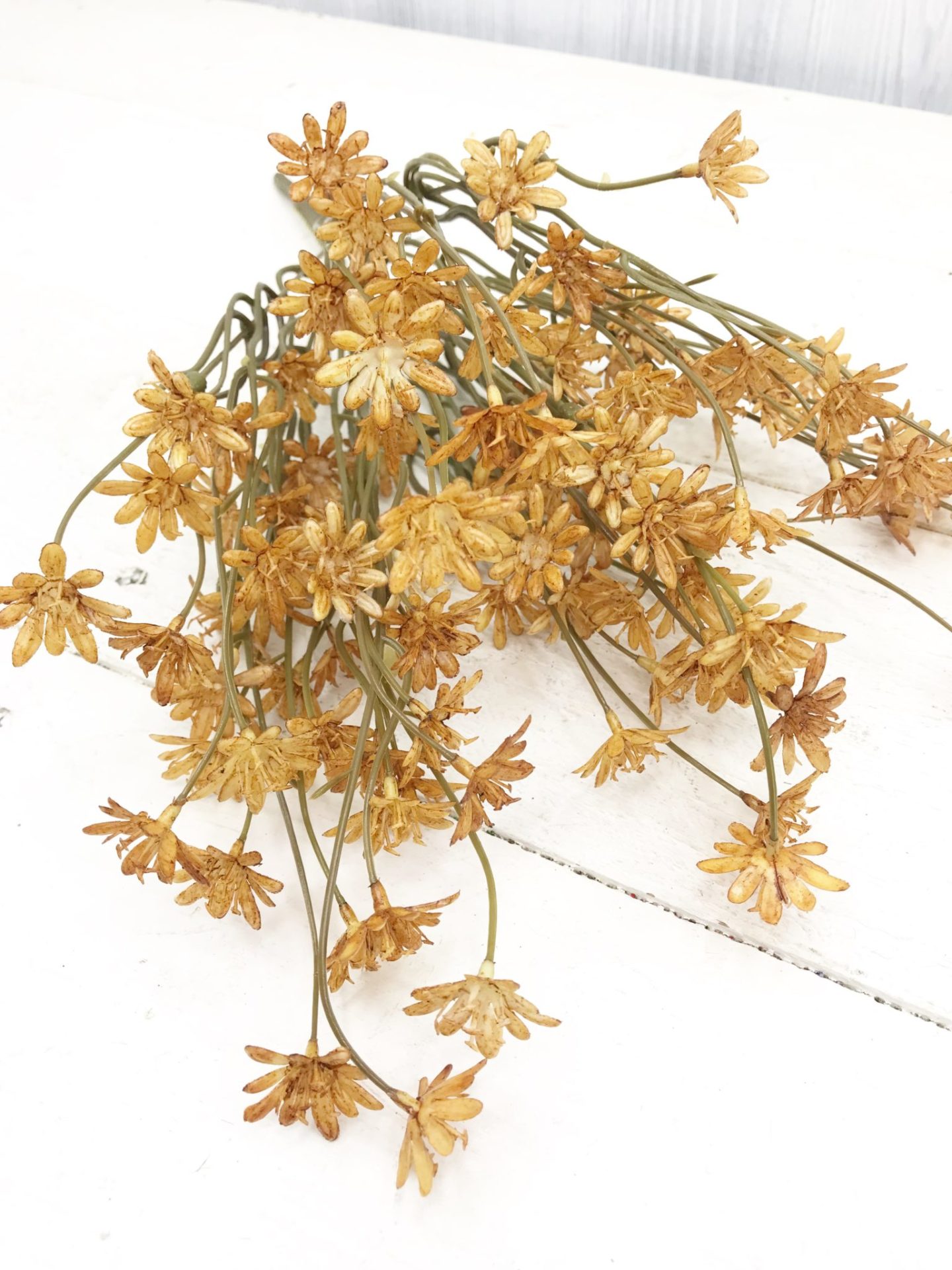 Mustard Yellow Fall Bloom Bush - Kelea's Florals