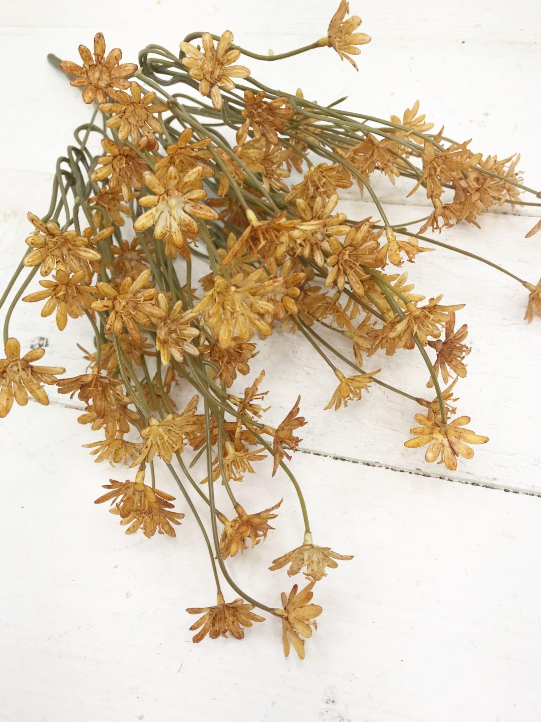 Mustard Yellow Fall Bloom Bush - Kelea's Florals