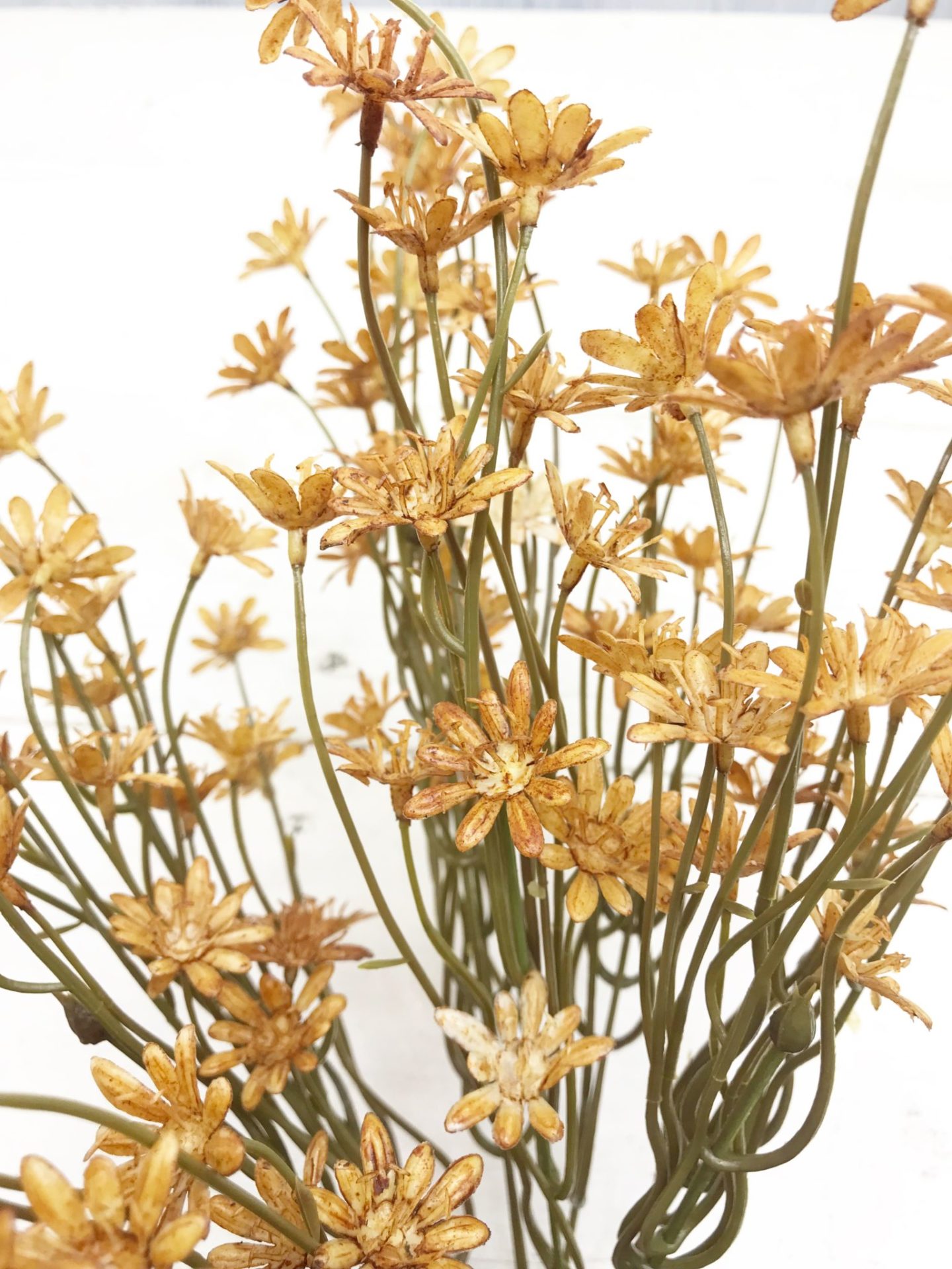 Mustard Yellow Fall Bloom Bush - Kelea's Florals