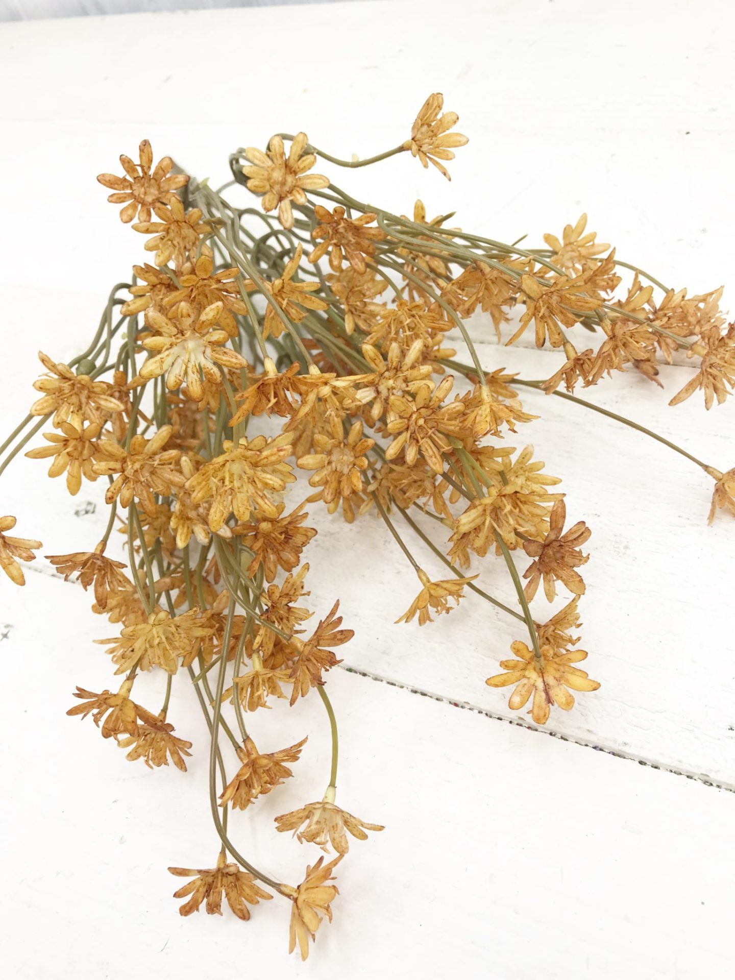 Mustard Yellow Fall Bloom Bush - Kelea's Florals
