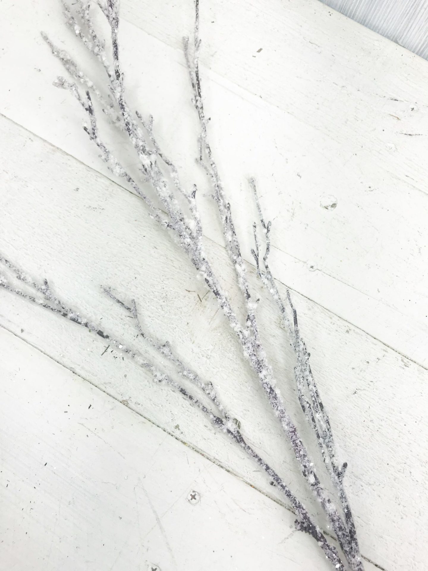 Snow Twig Stem - Kelea's Florals