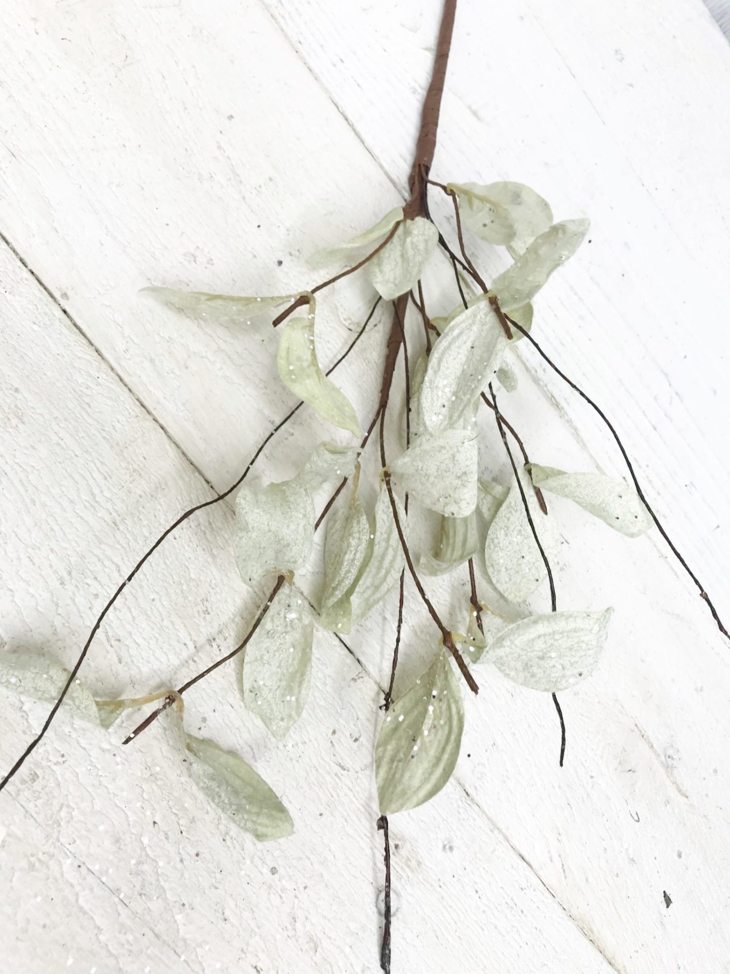 Frosted Greenery Pick - Kelea's Florals