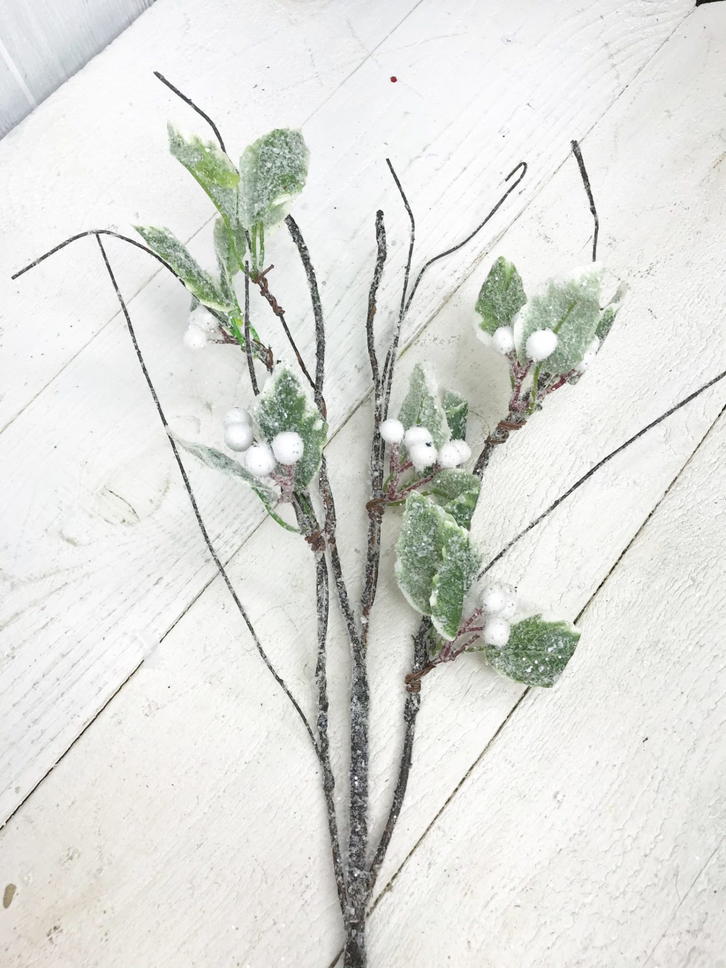 Frosted White Holly Berry Stem - Kelea's Florals