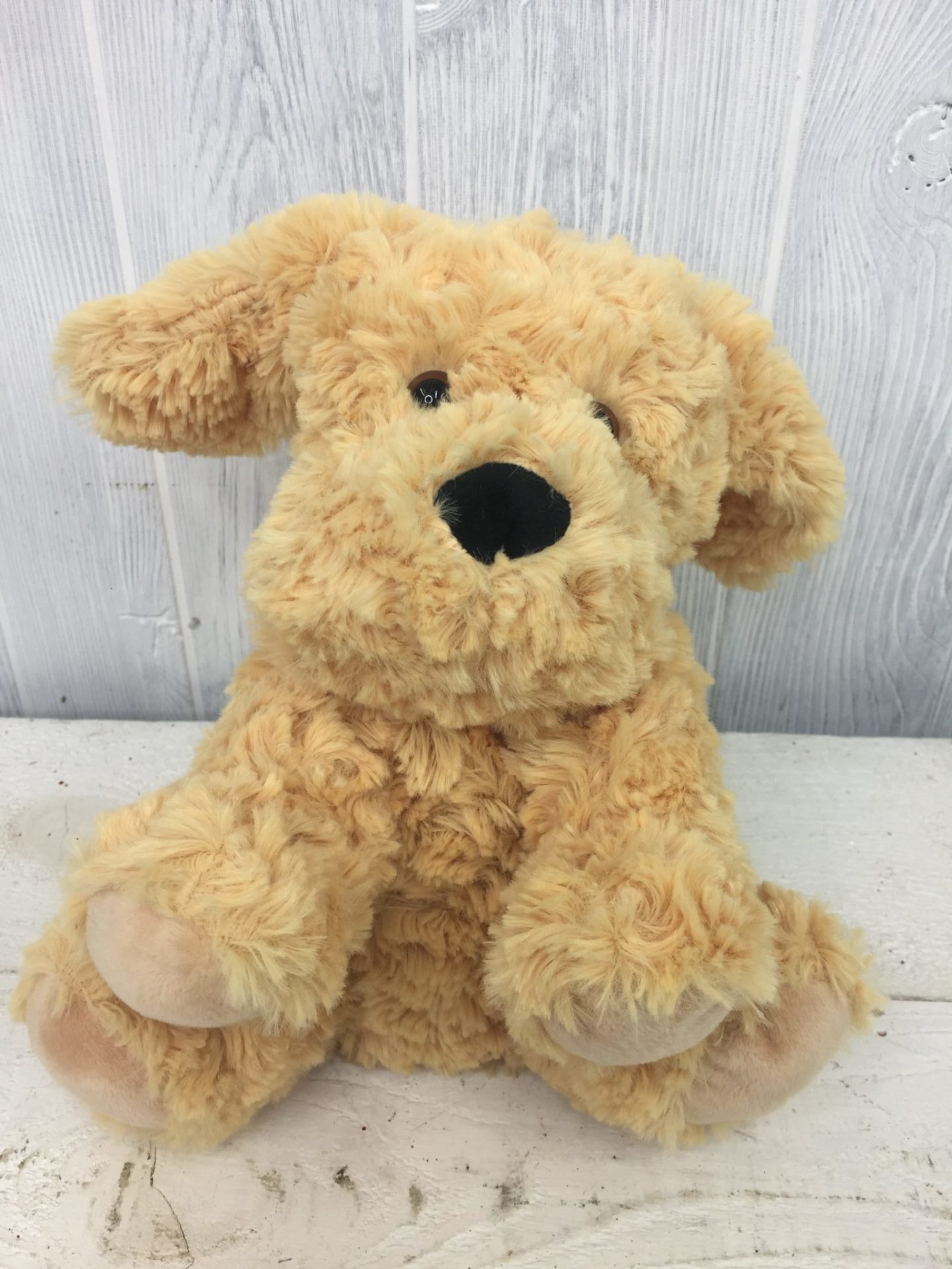 Kaya's Arie Dog Plush - Kelea's Florals