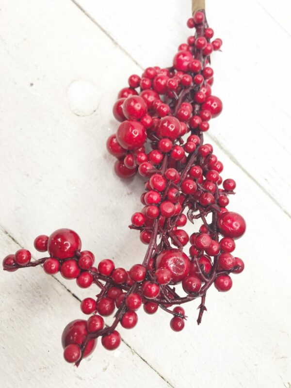 Red Berry Pick - Kelea's Florals