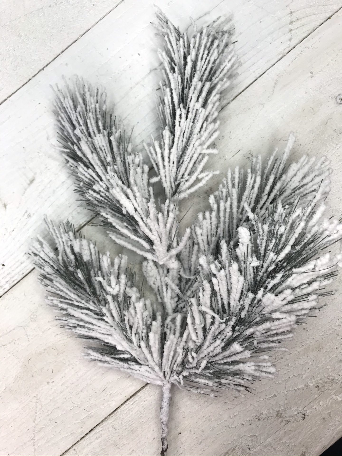 Flocked Fairmont Pine Stem - Kelea's Florals