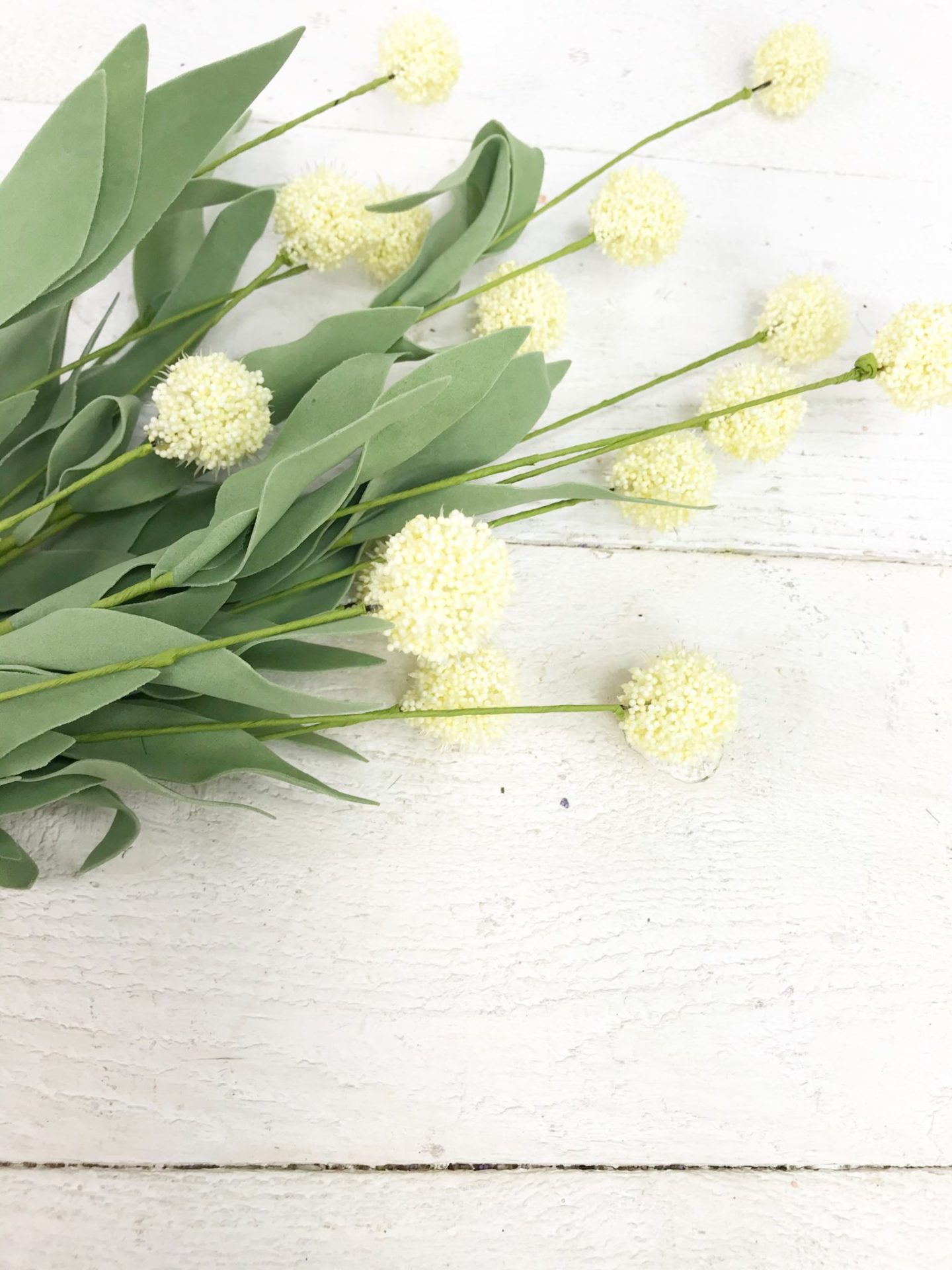 Cream Ball Stem - Kelea's Florals