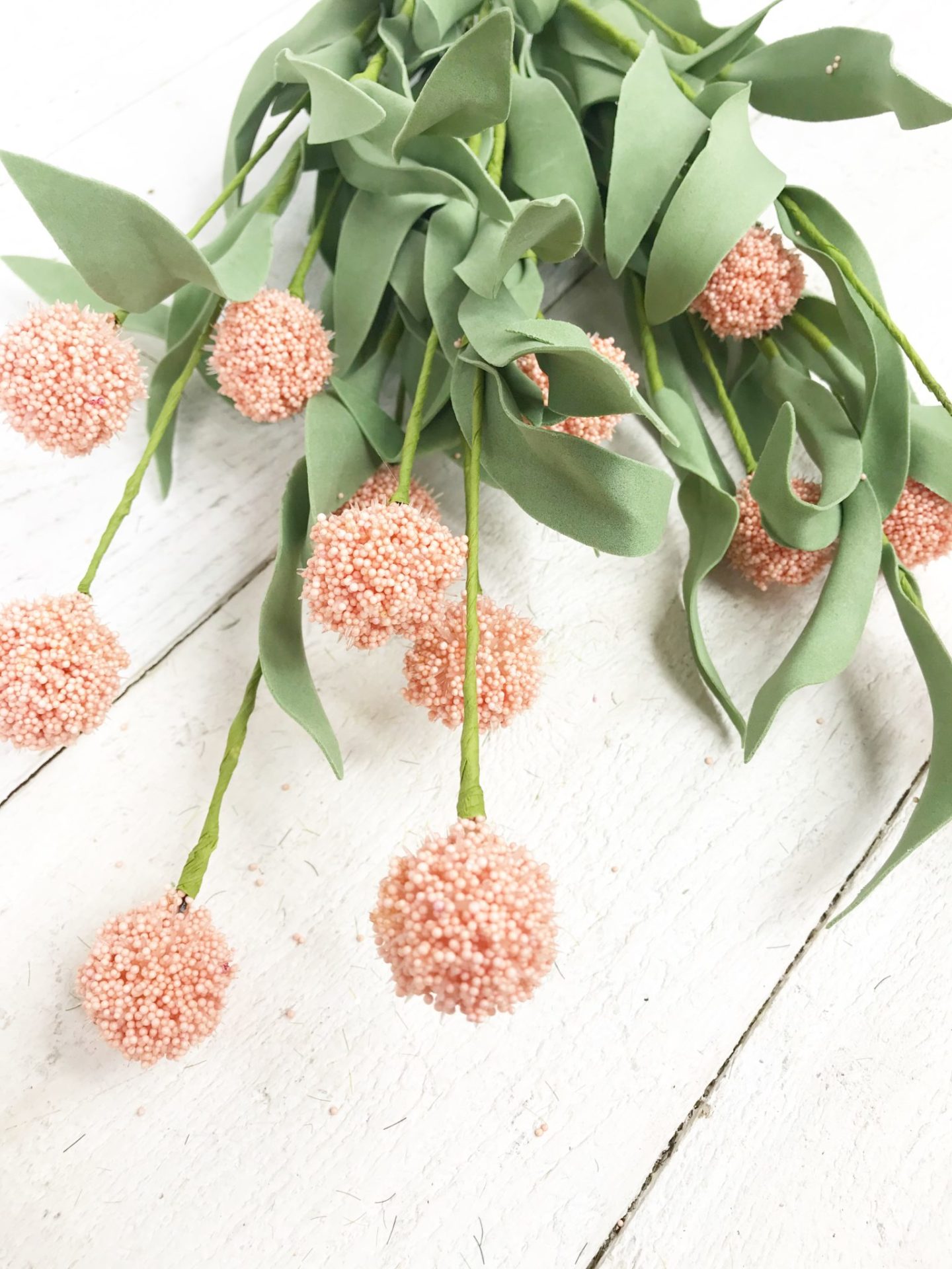 Peach Ball Stem - Kelea's Florals