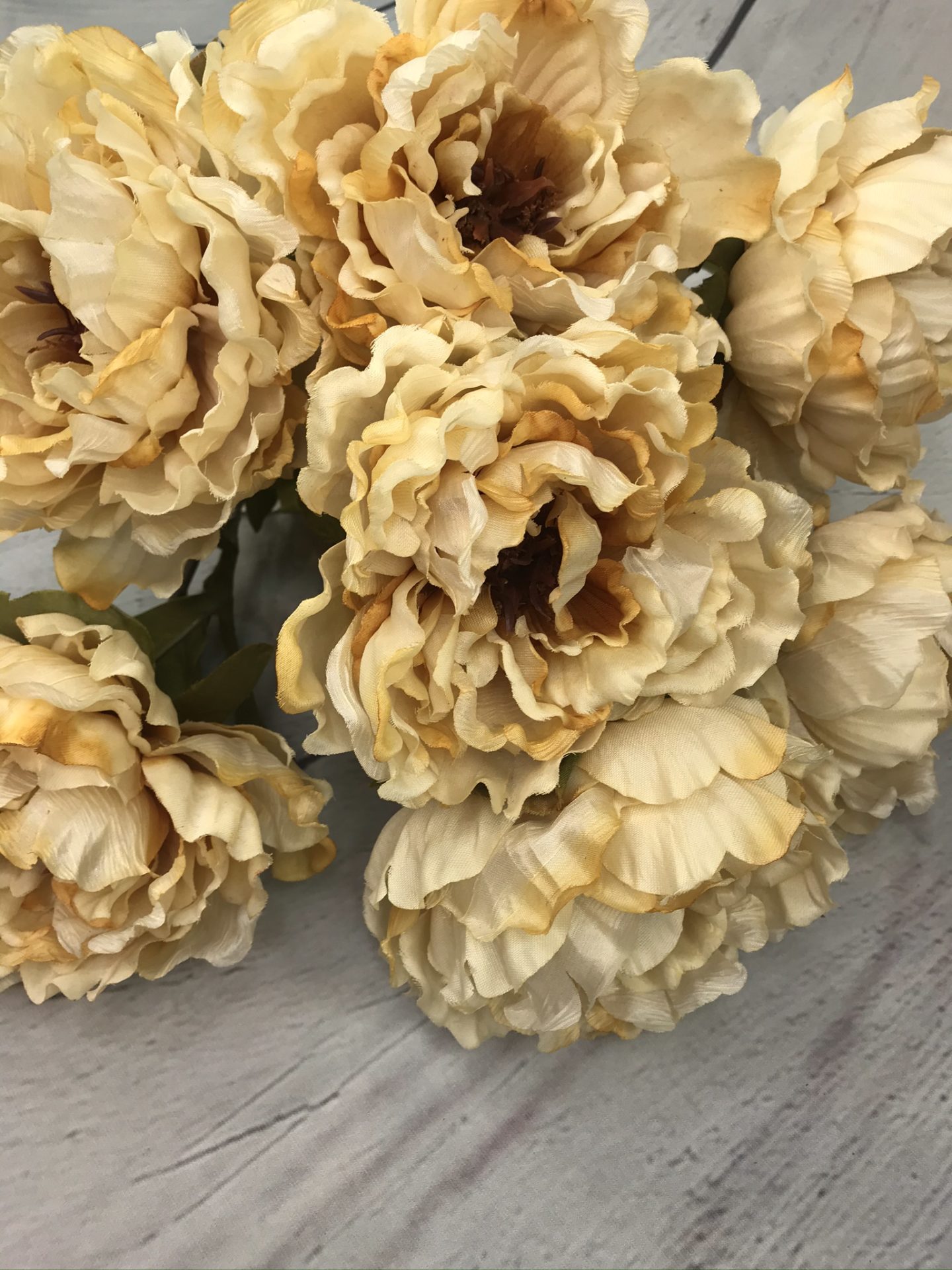 Beige Peony Bush - Kelea's Florals