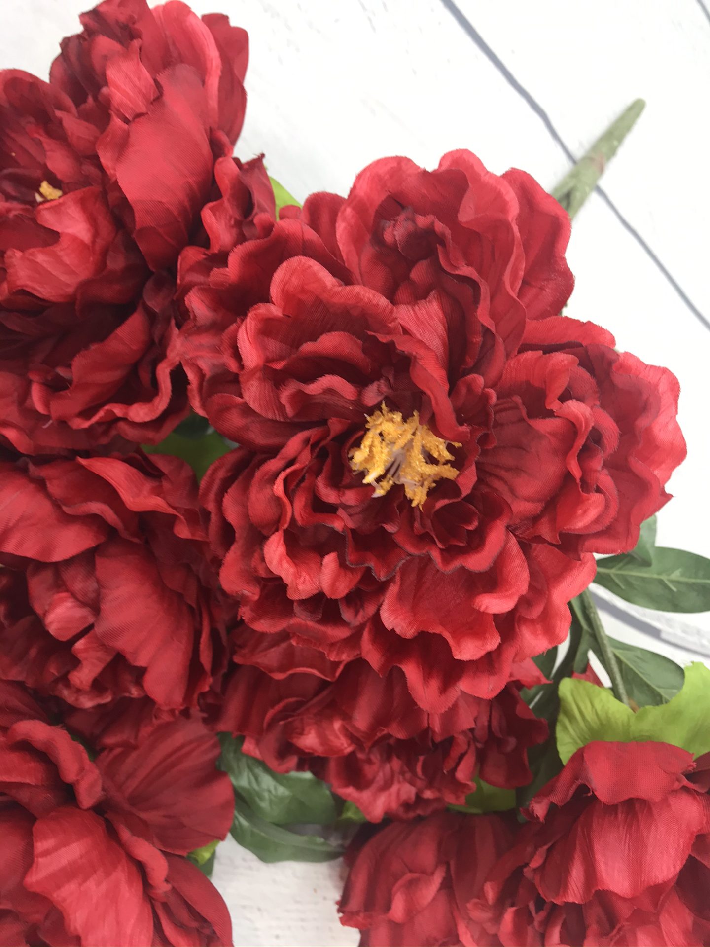 Bright Red Peony Bush - Kelea's Florals