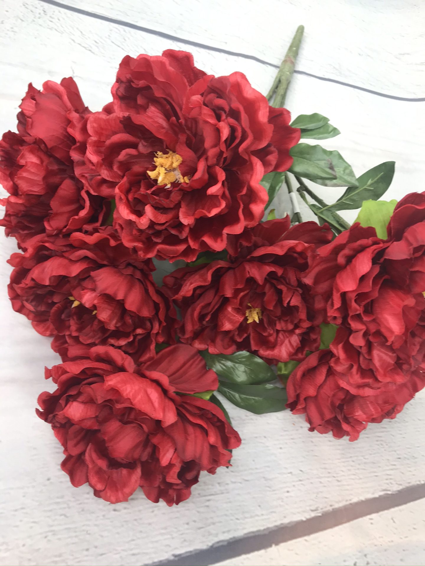 Bright Red Peony Bush - Kelea's Florals