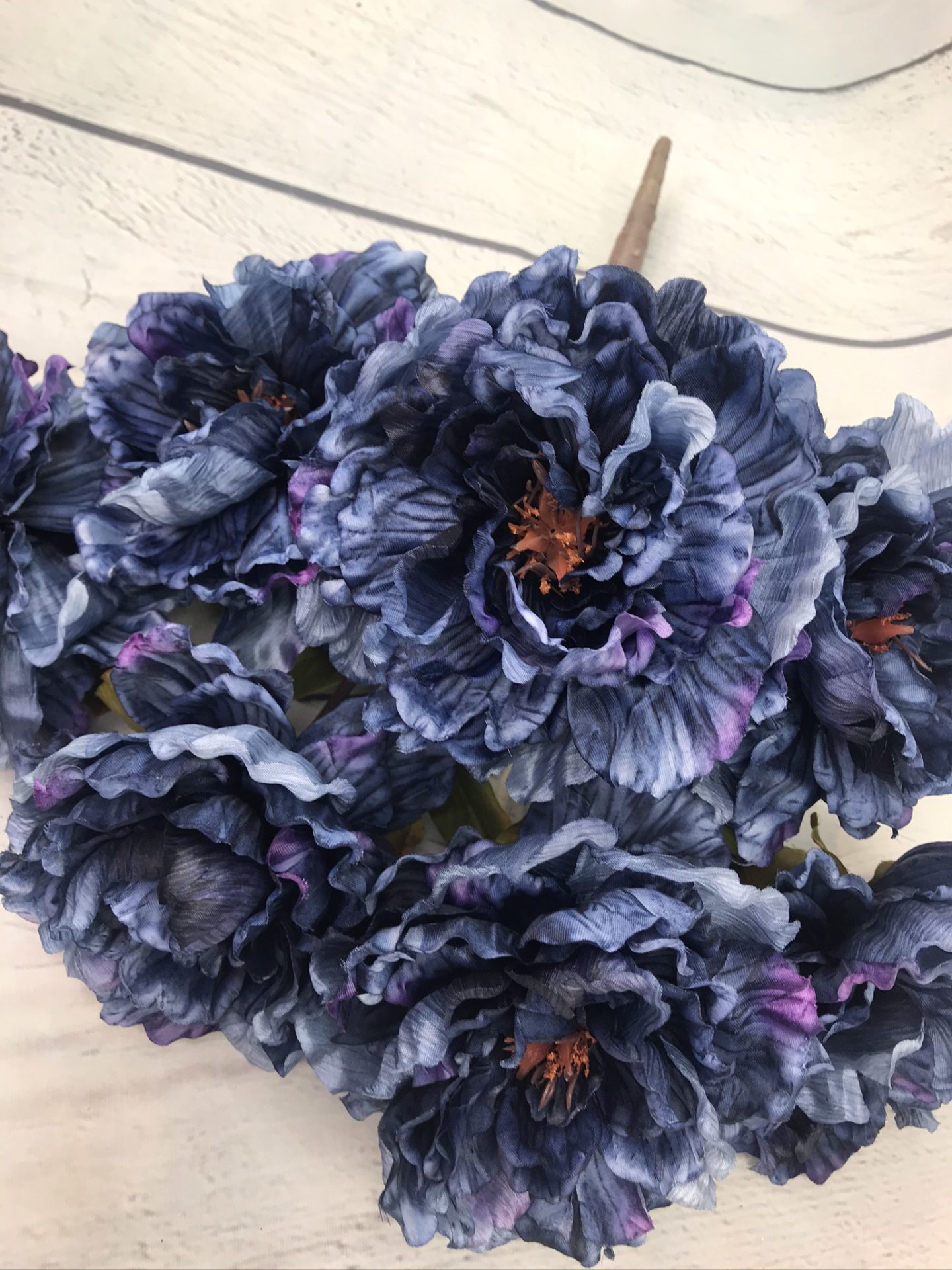 Dark Blue Peony Bush - Kelea's Florals