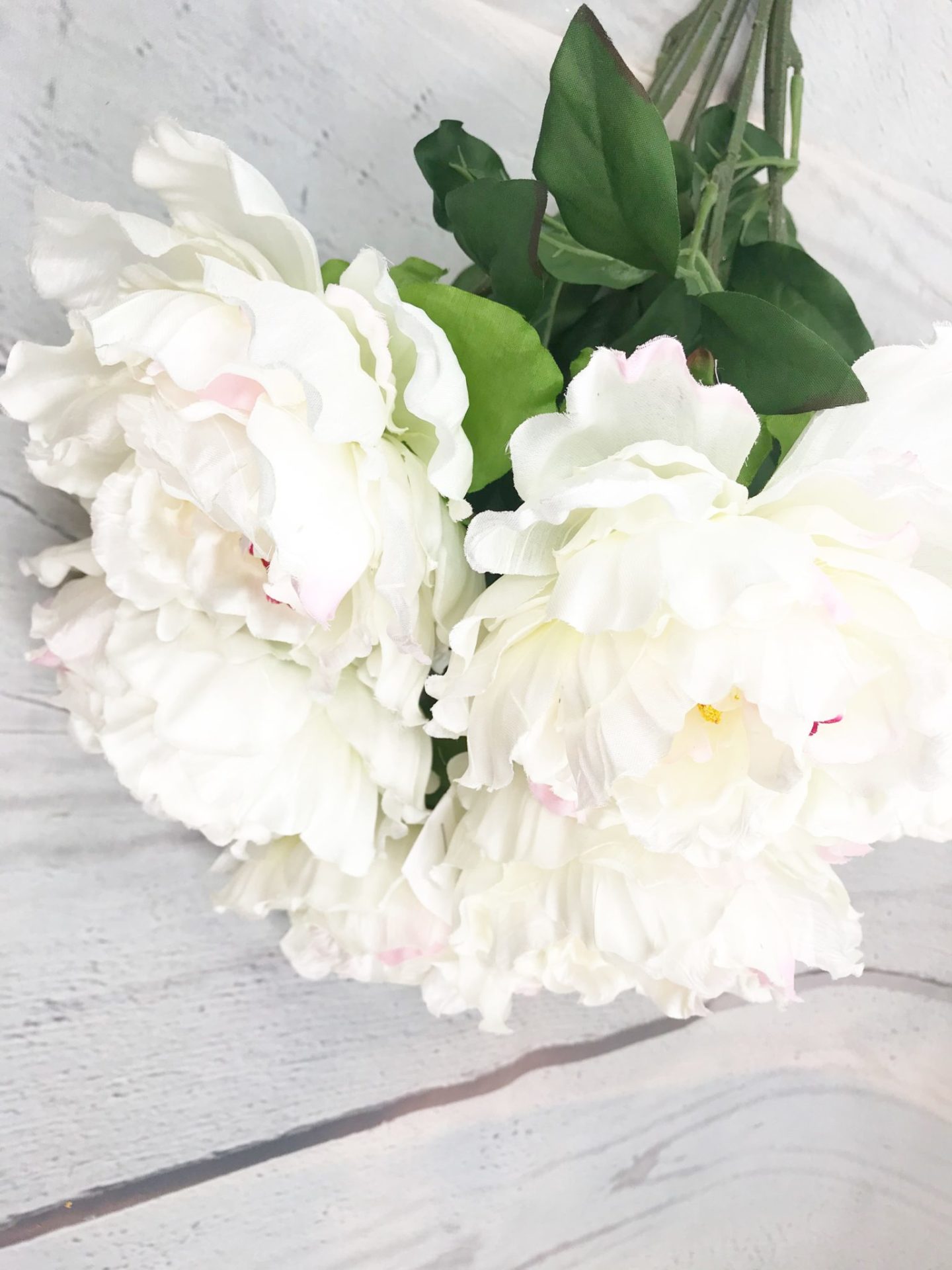Cream Peony Bush - Kelea's Florals