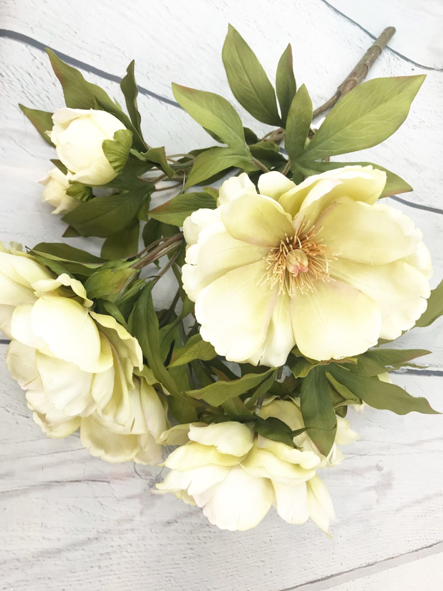 Beige Magnolia Bush - Kelea's Florals