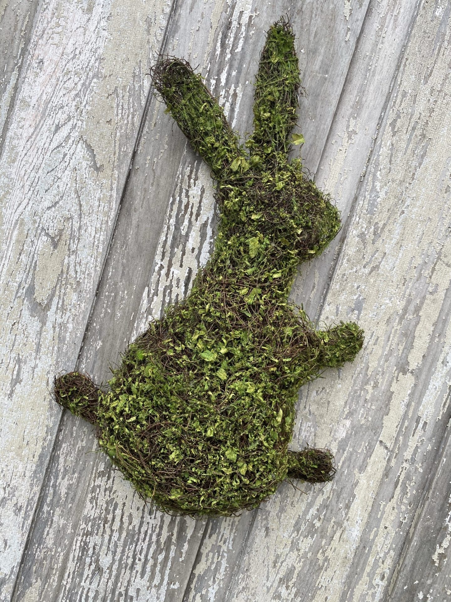 Half Moss Rabbit - Kelea's Florals