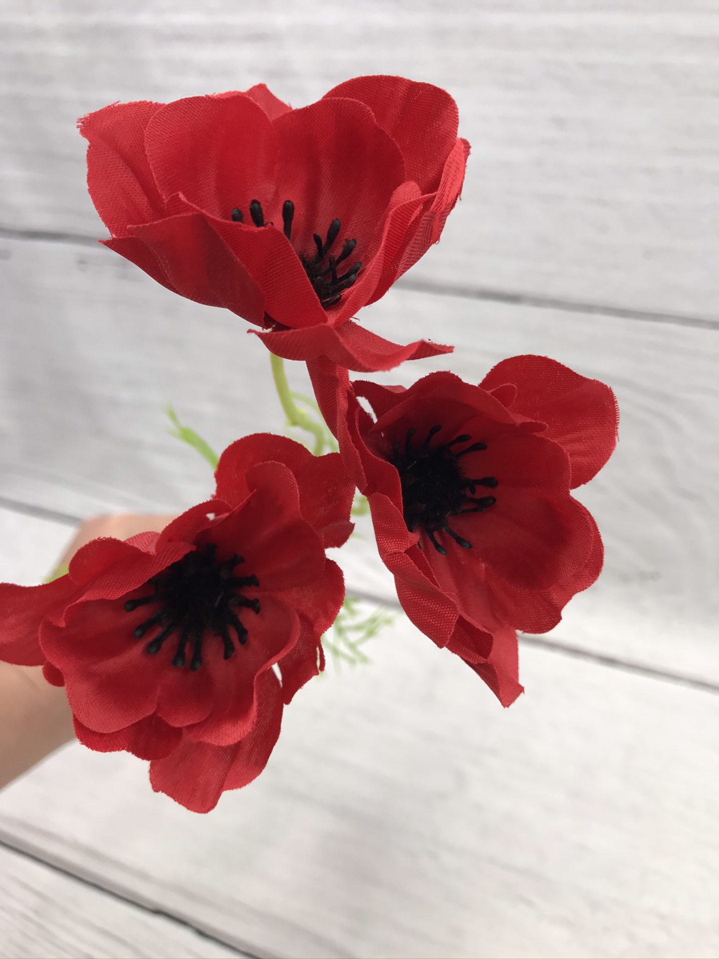 Red Poppy Stem - Kelea's Florals