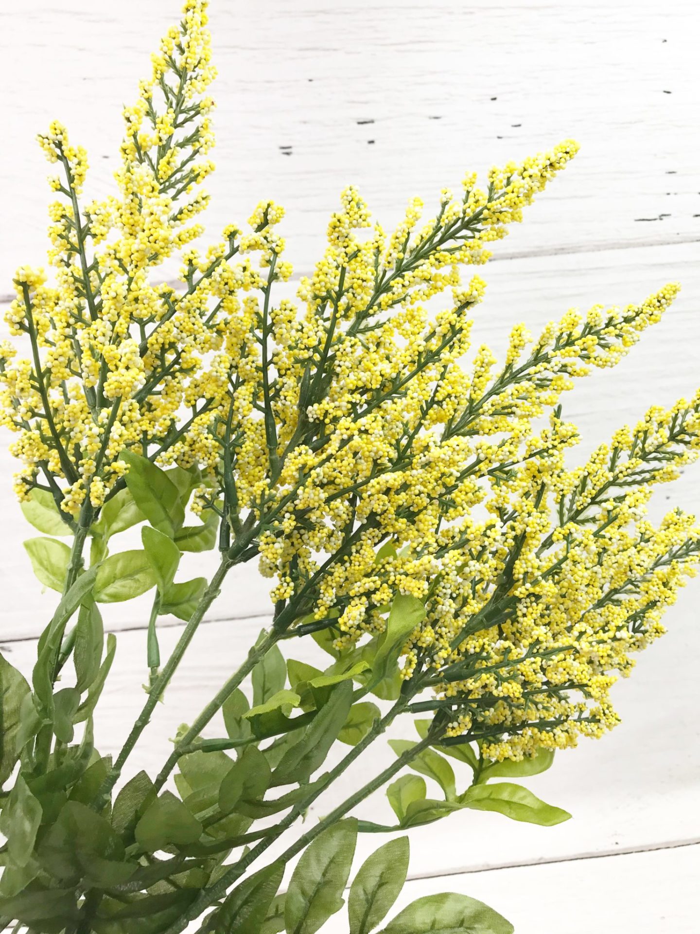 Yellow Heather Bush - Kelea's Florals