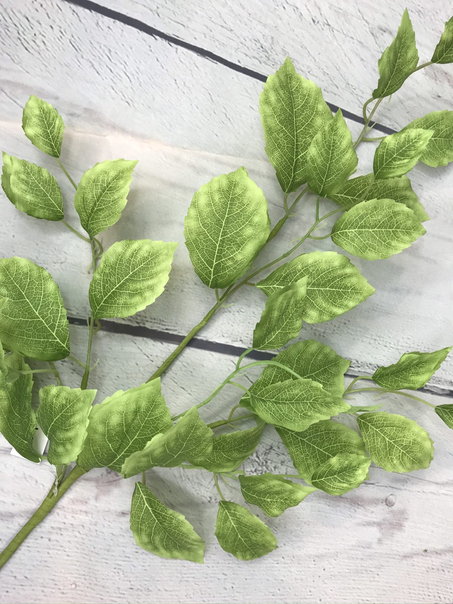 Light Green Rose Leaf Stem - Kelea's Florals