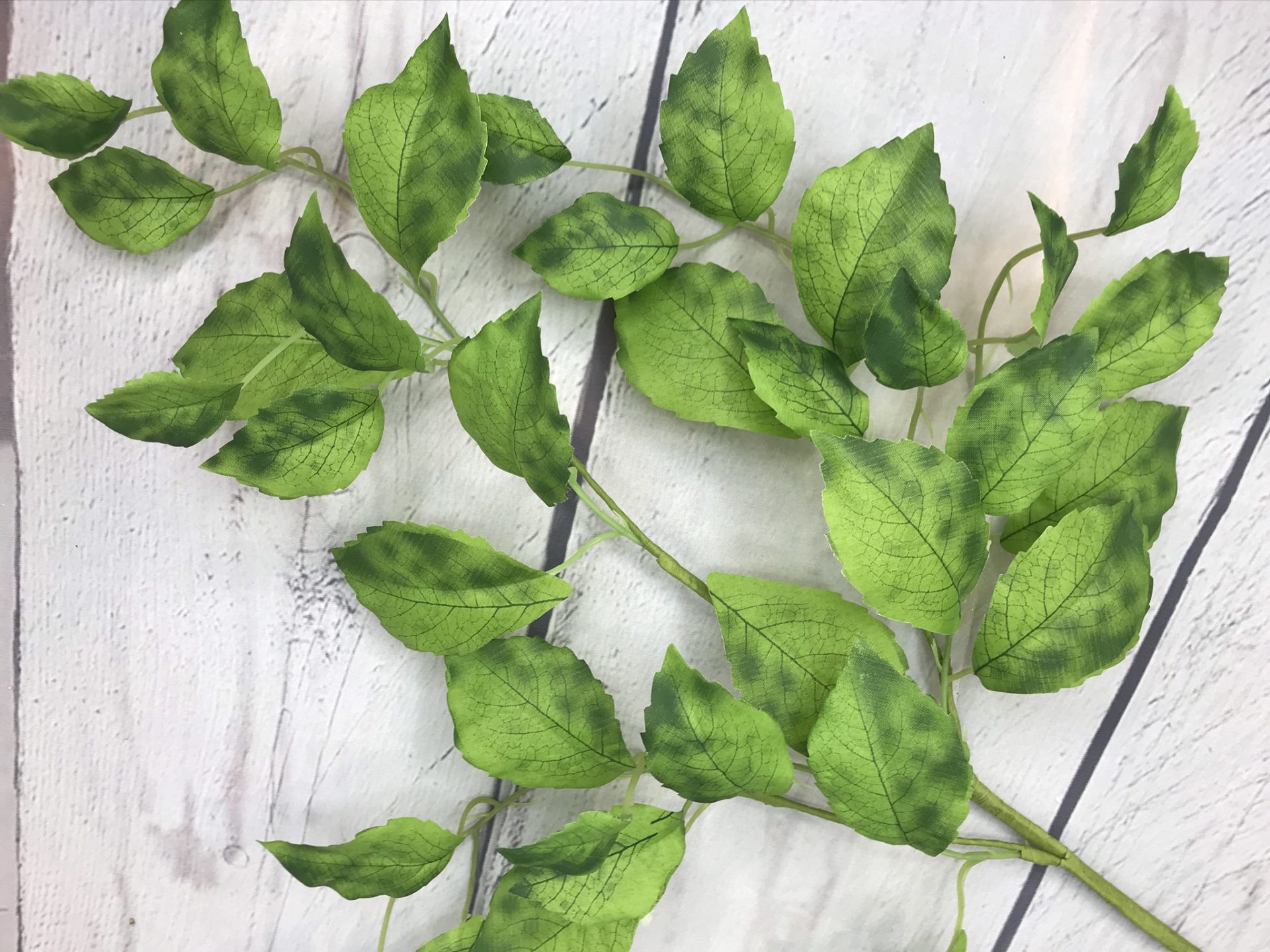 Green Rose Leaf Stem - Kelea's Florals