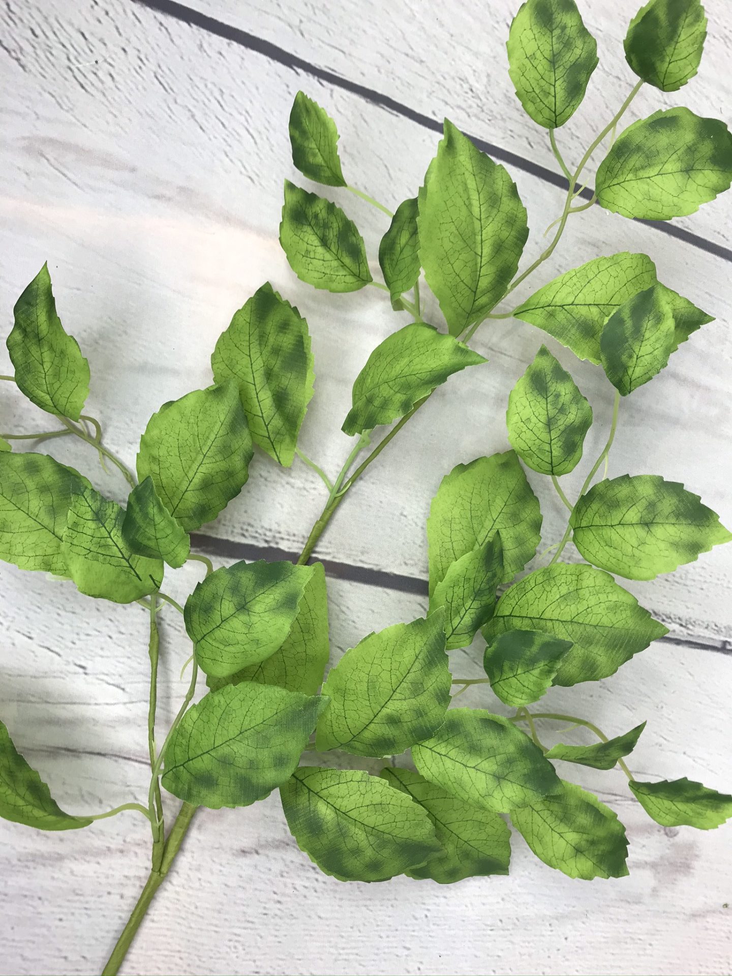Green Rose Leaf Stem - Kelea's Florals
