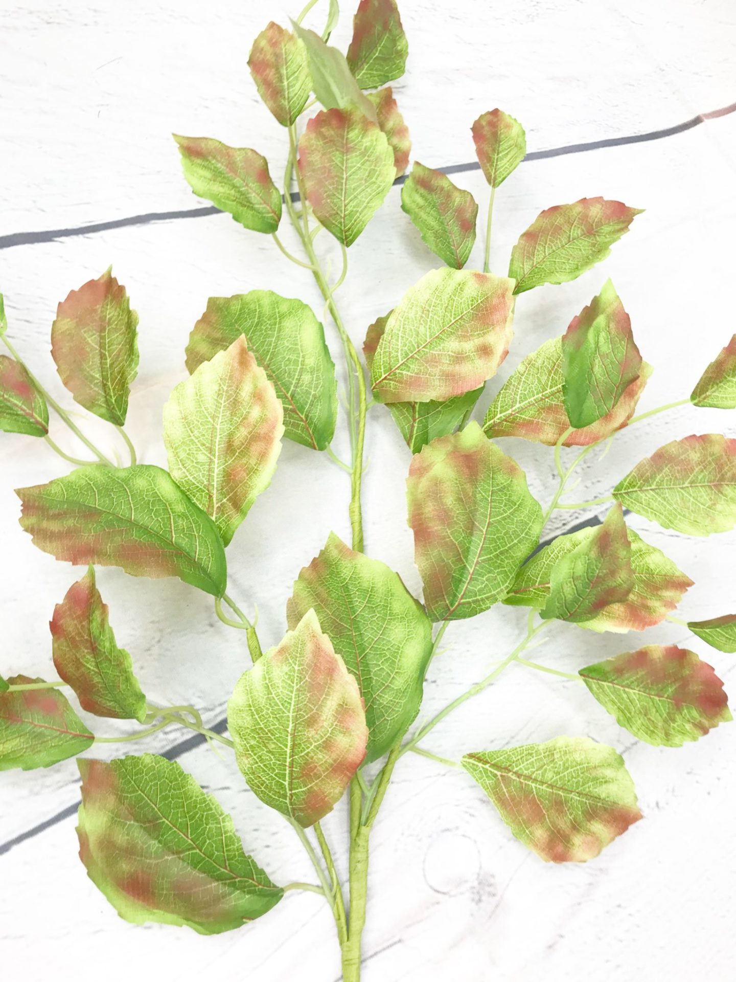 Green Brown Rose Leaf Stem - Kelea's Florals