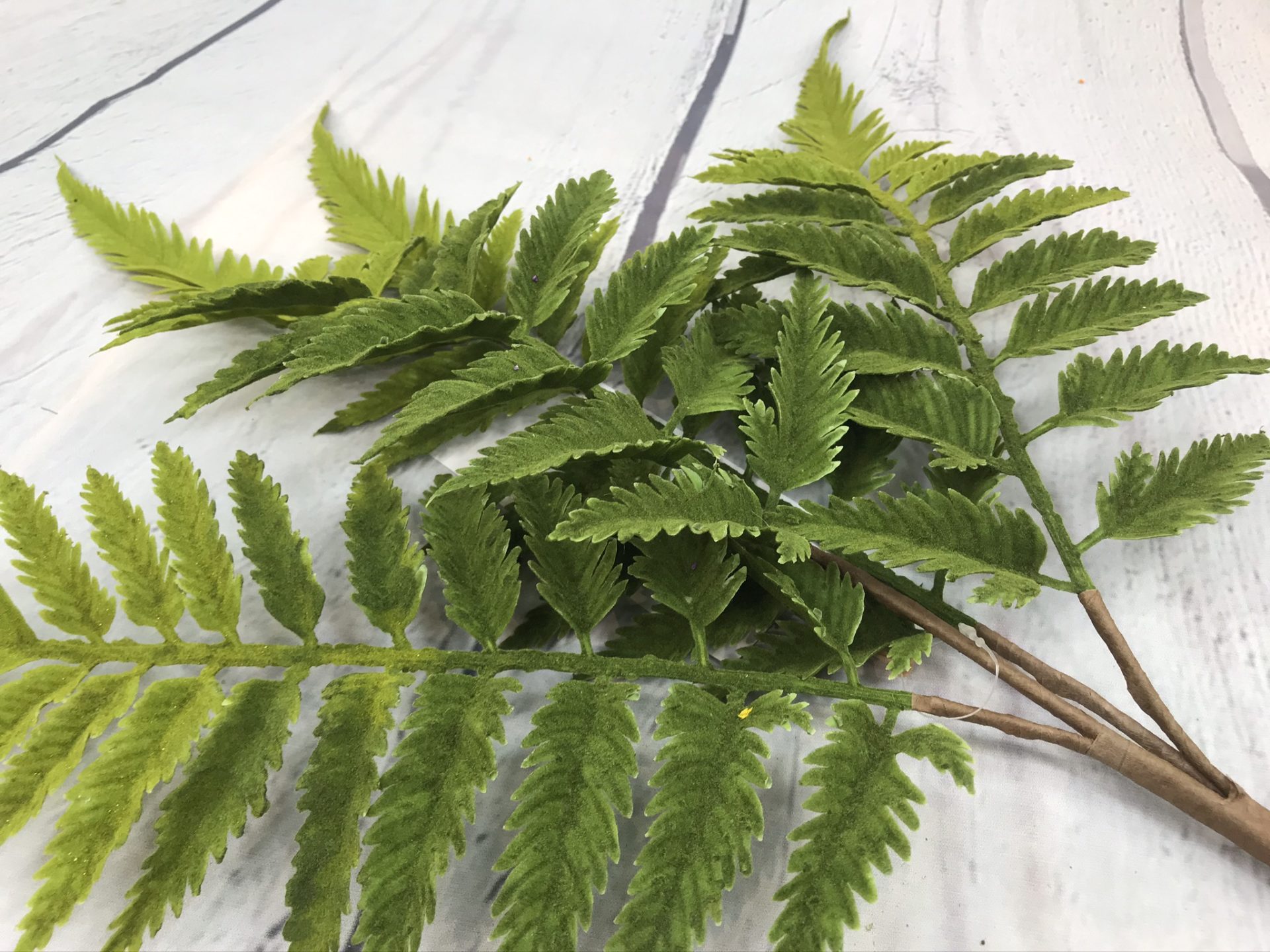 Green Fern Stem - Kelea's Florals