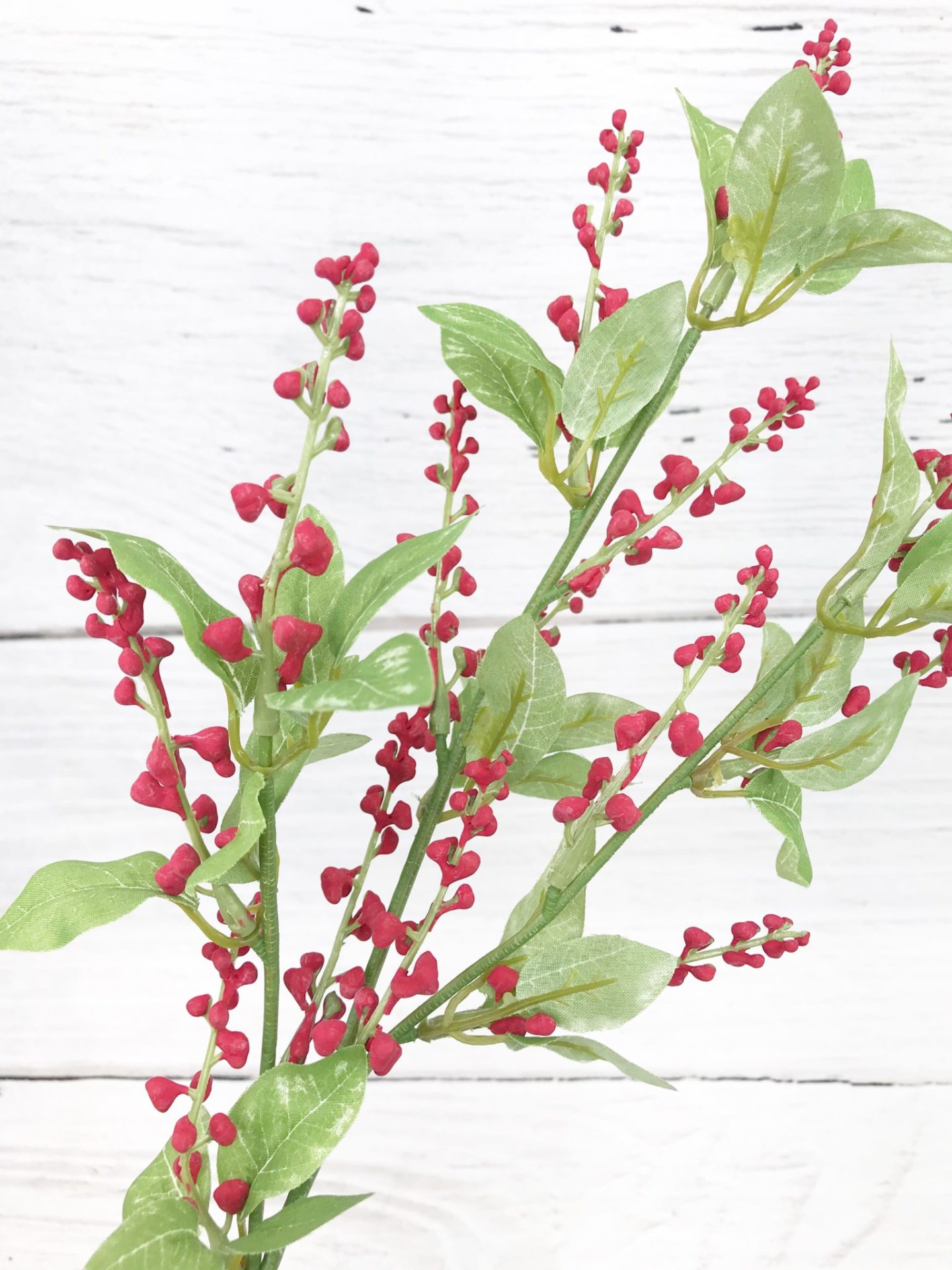 Red Honeywood Berry Stem - Kelea's Florals