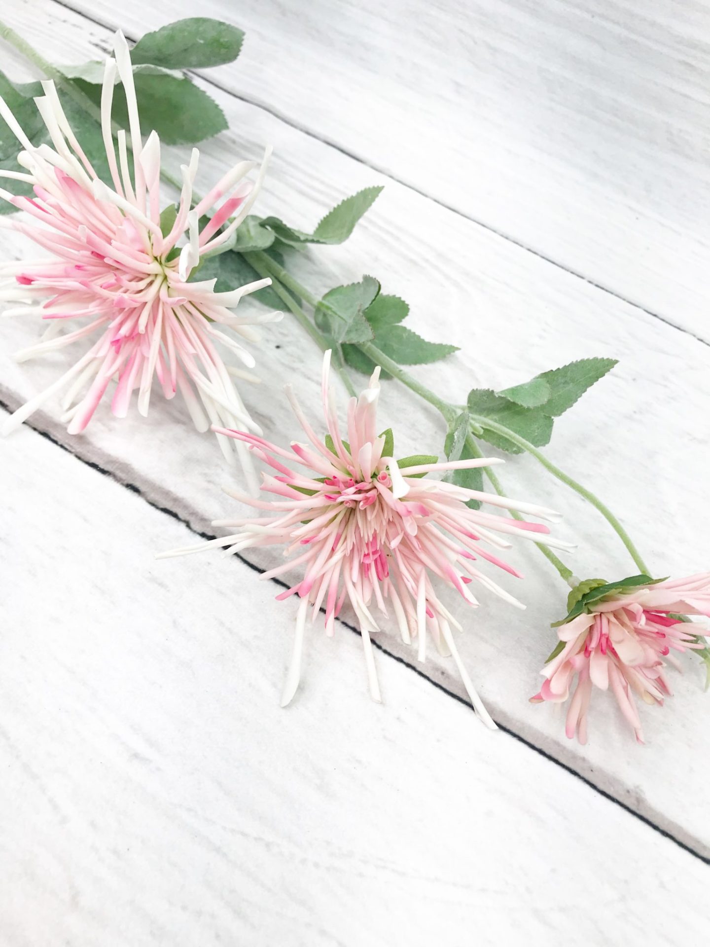 Pink Sassafras Mum Stem - Kelea's Florals