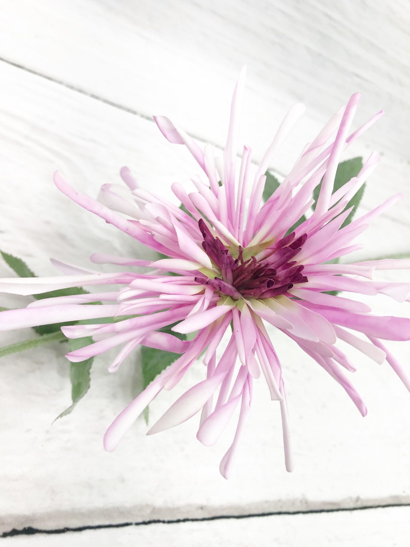 Purple Sassafras Mum Stem - Kelea's Florals