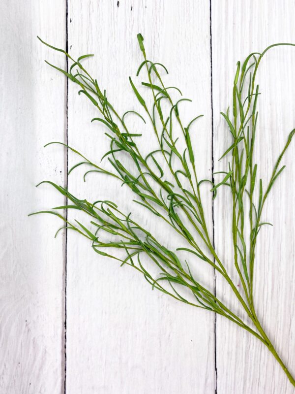 Green Leaf Stem - Kelea's Florals