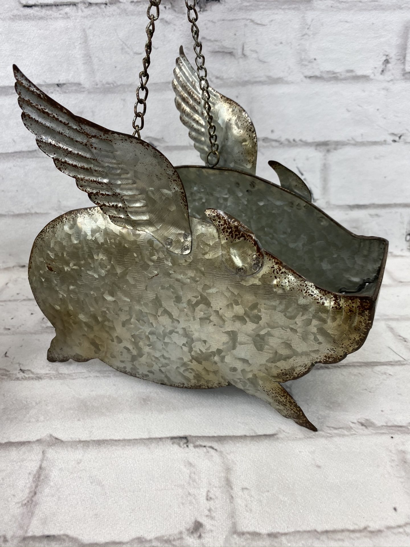 Small Galvanized Flying Pig Planter - Kelea's Florals