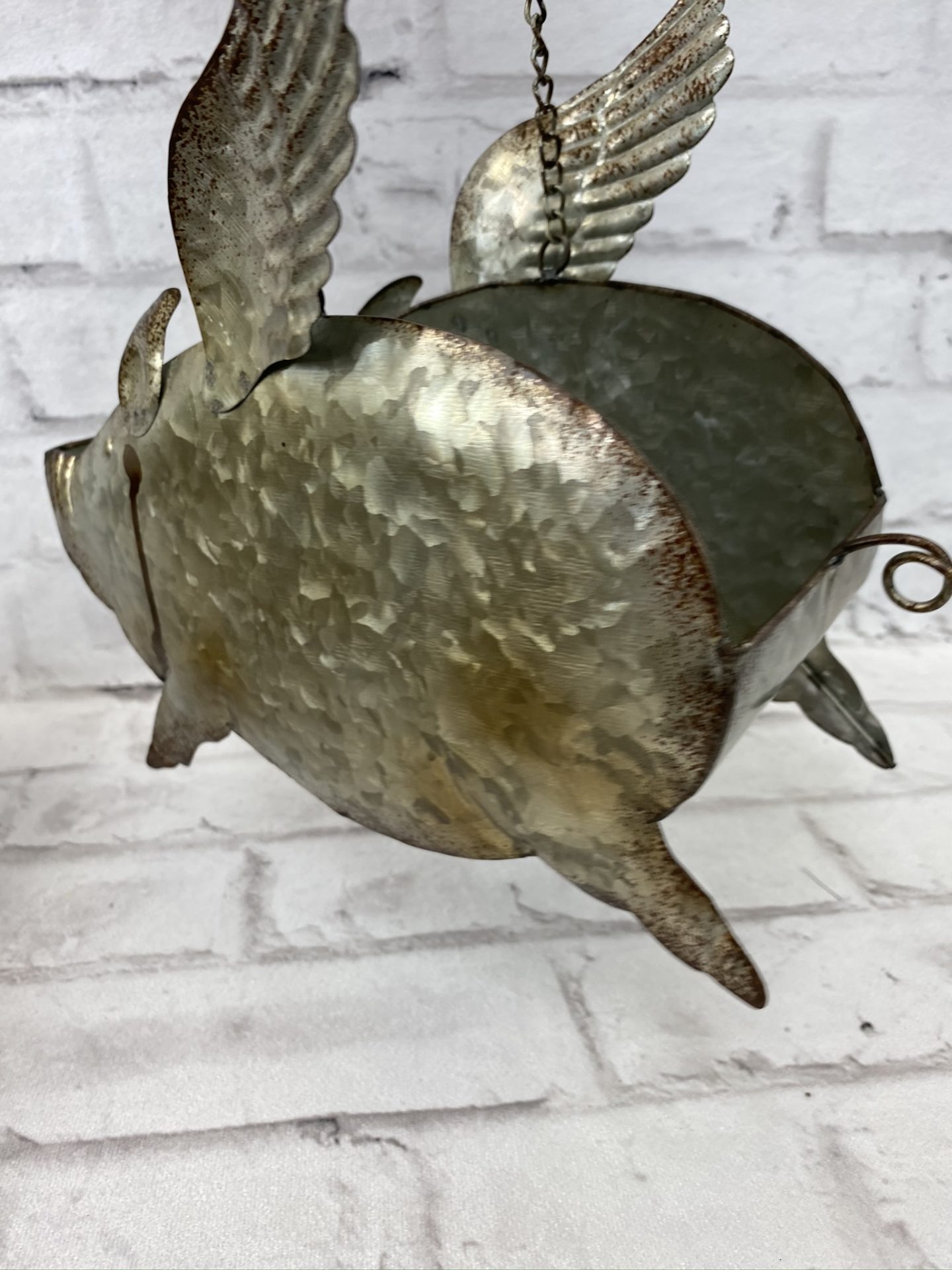 Small Galvanized Flying Pig Planter - Kelea's Florals