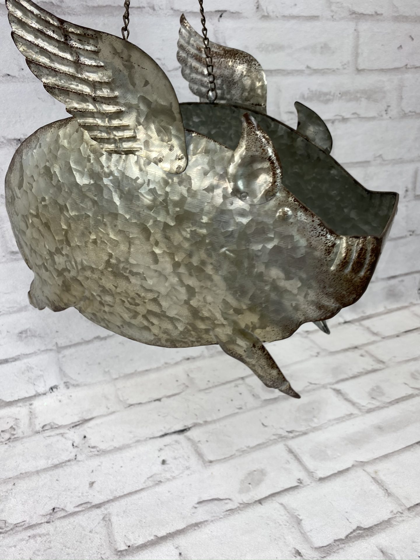 Large Galvanized Flying Pig Planter - Kelea's Florals
