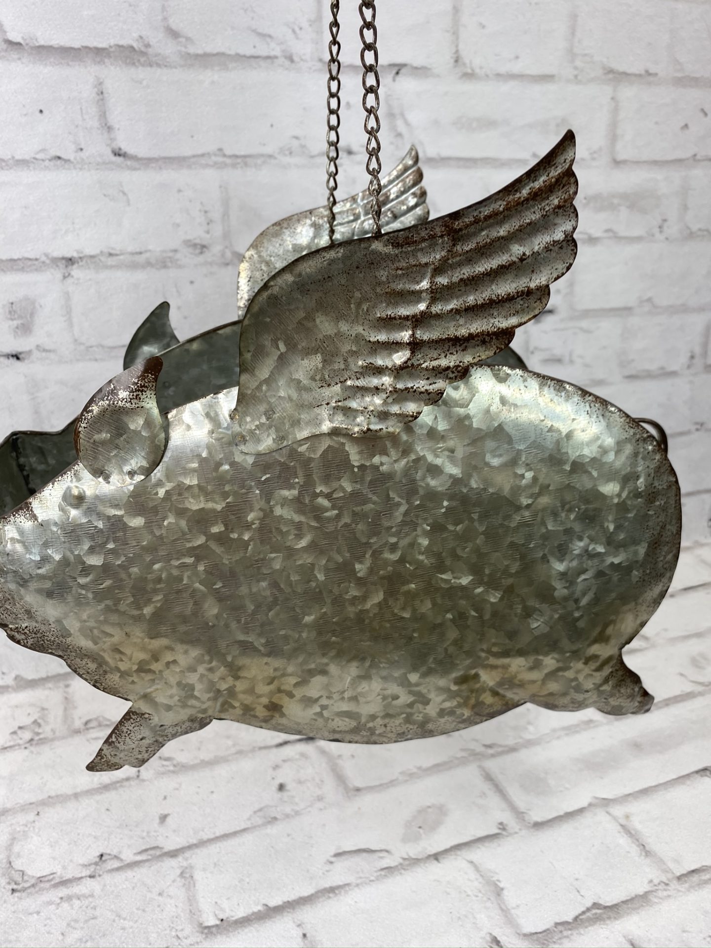 Large Galvanized Flying Pig Planter - Kelea's Florals