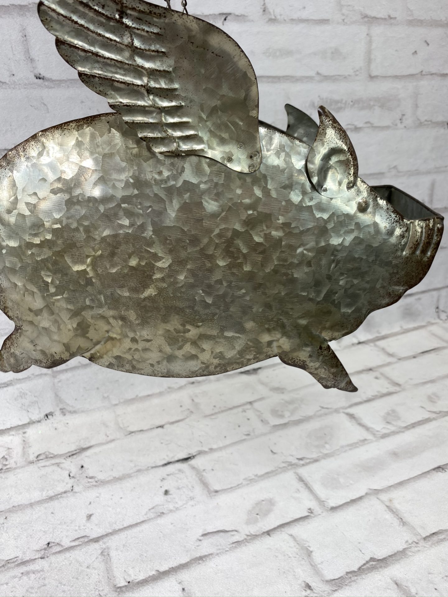 Large Galvanized Flying Pig Planter - Kelea's Florals