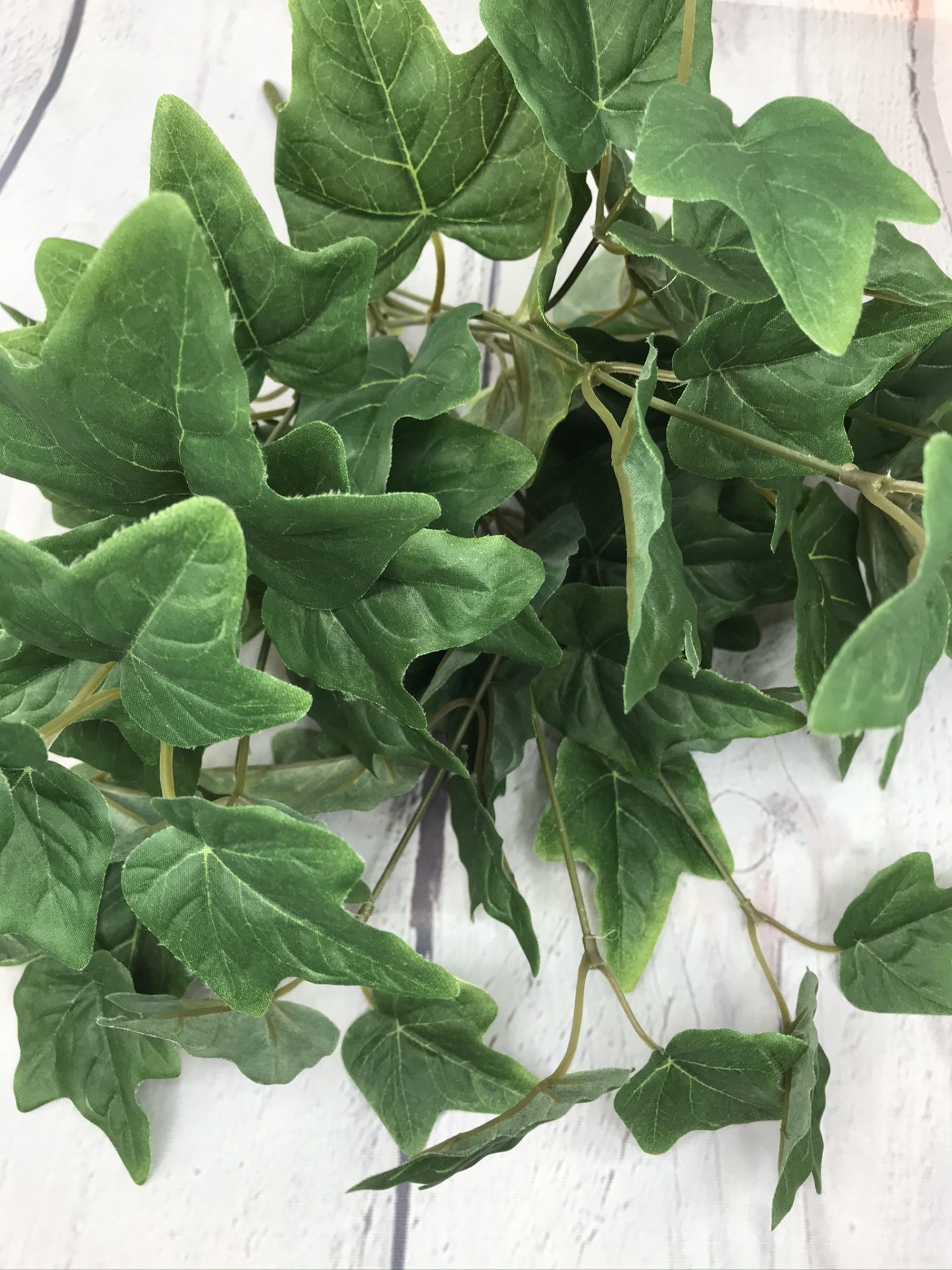 Green English Ivy Bush - Kelea's Florals