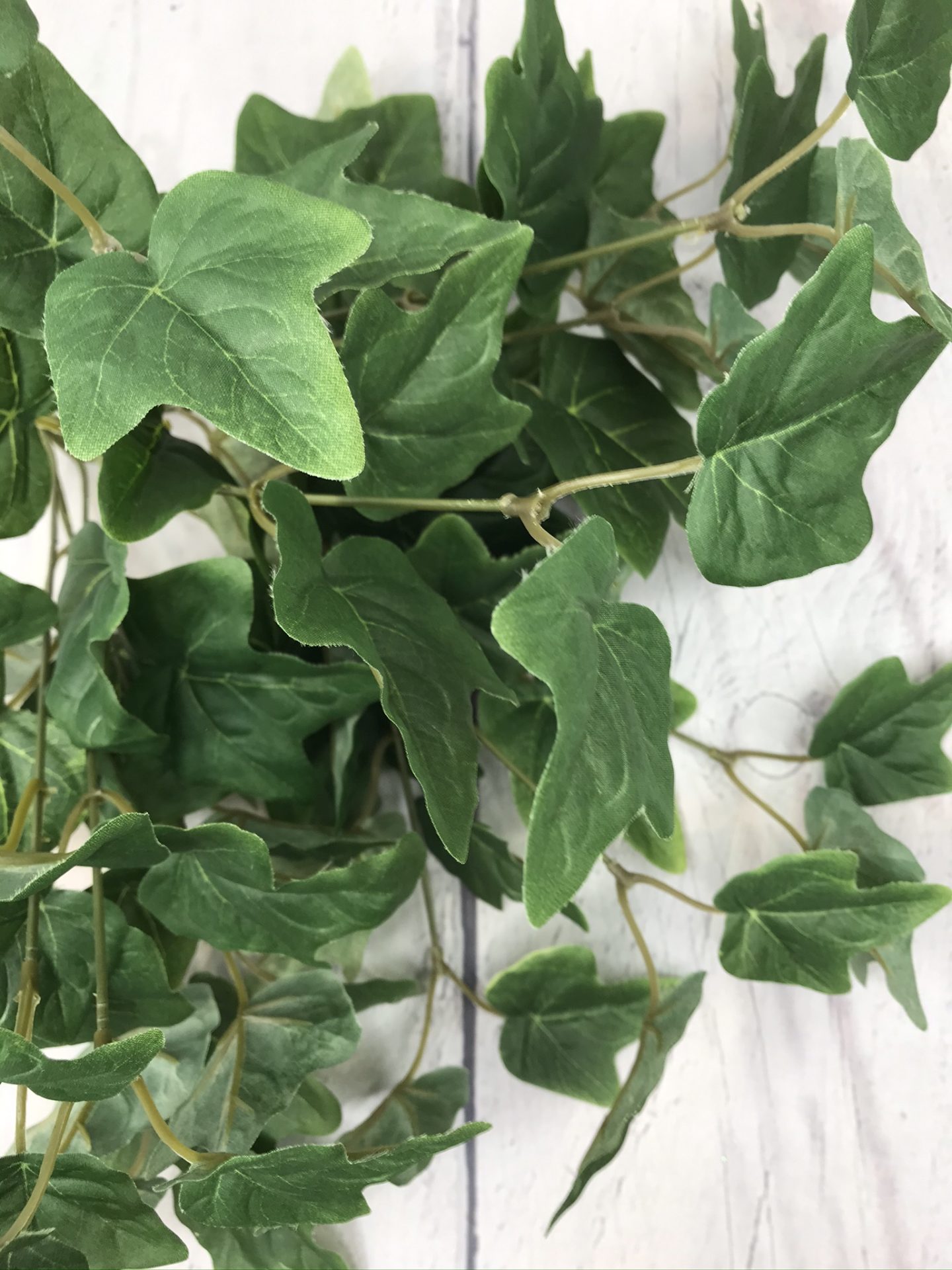 Green English Ivy Bush - Kelea's Florals