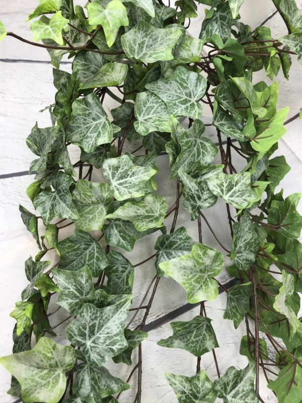 Frosted Real Touch Ivy Hanger - Kelea's Florals