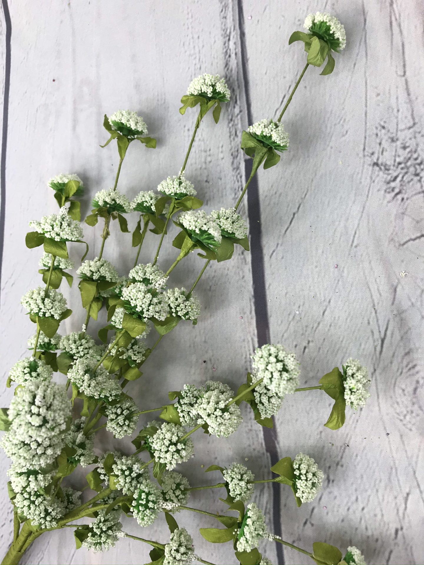White Mini Allium Bush - Kelea's Florals
